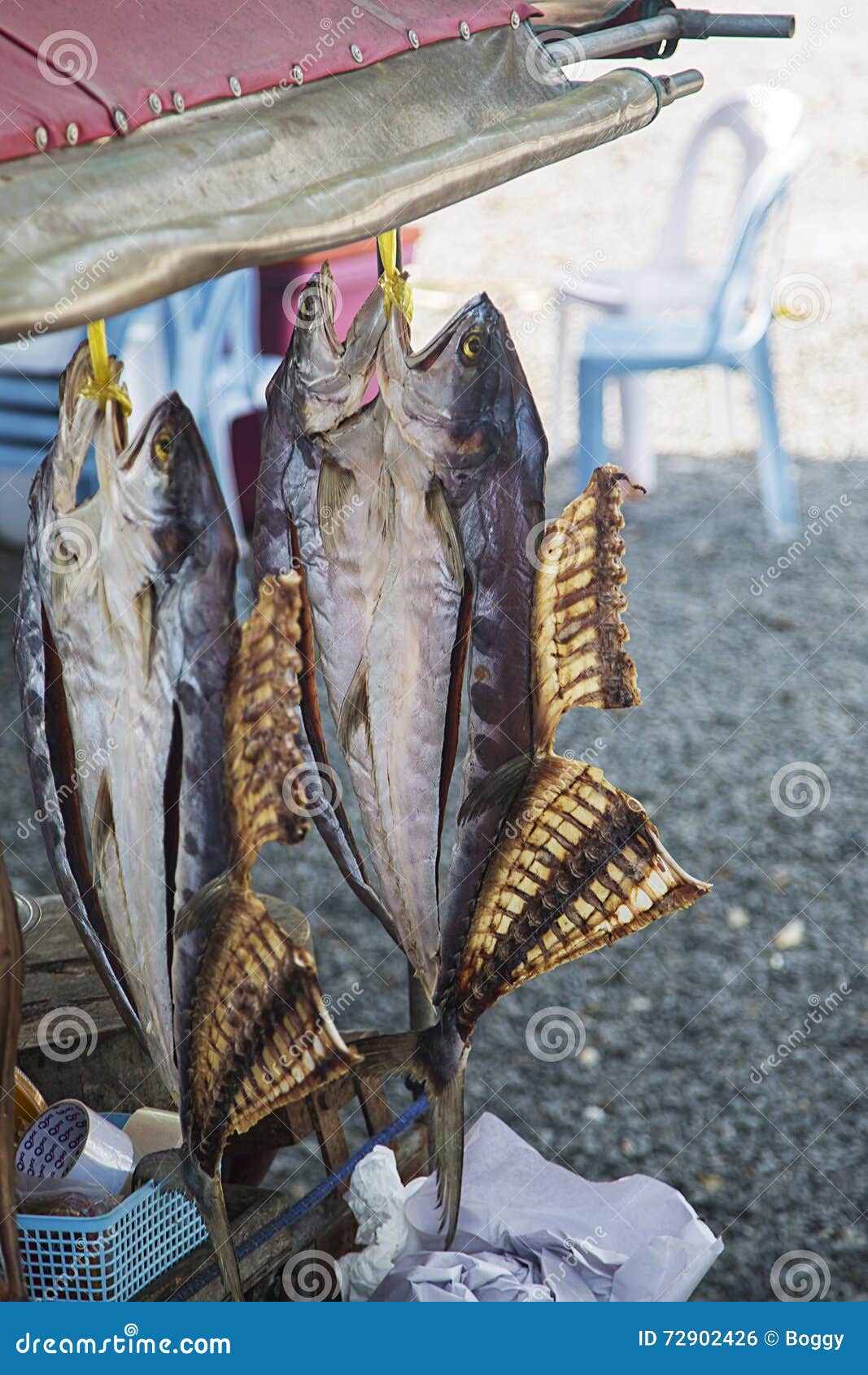 Ko Pha Ngan in Thailand editorial photo. Image of cook - 72902426