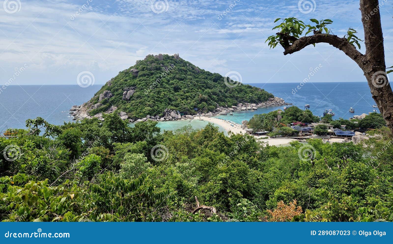 Ko Tao stock image. Image of flower, tropics, jungle - 289087023