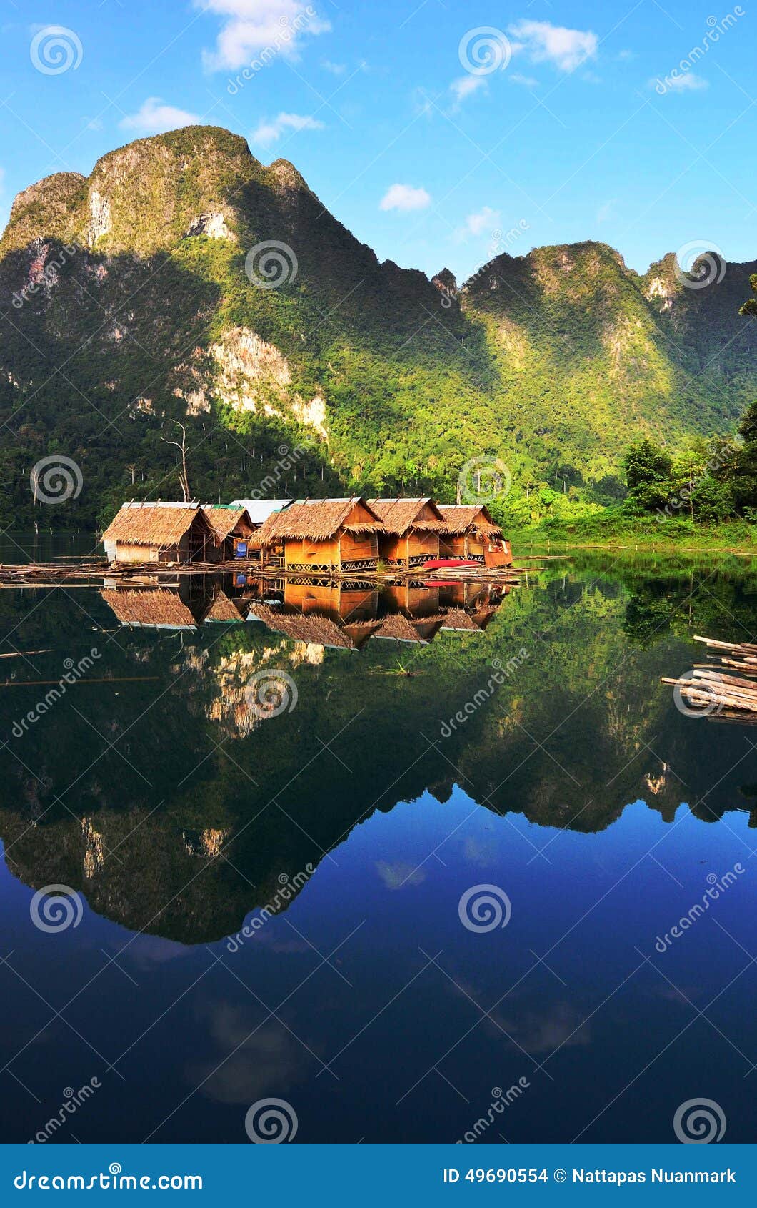 Koa sok of Thailand stock photo. Image of funny, relex - 49690554