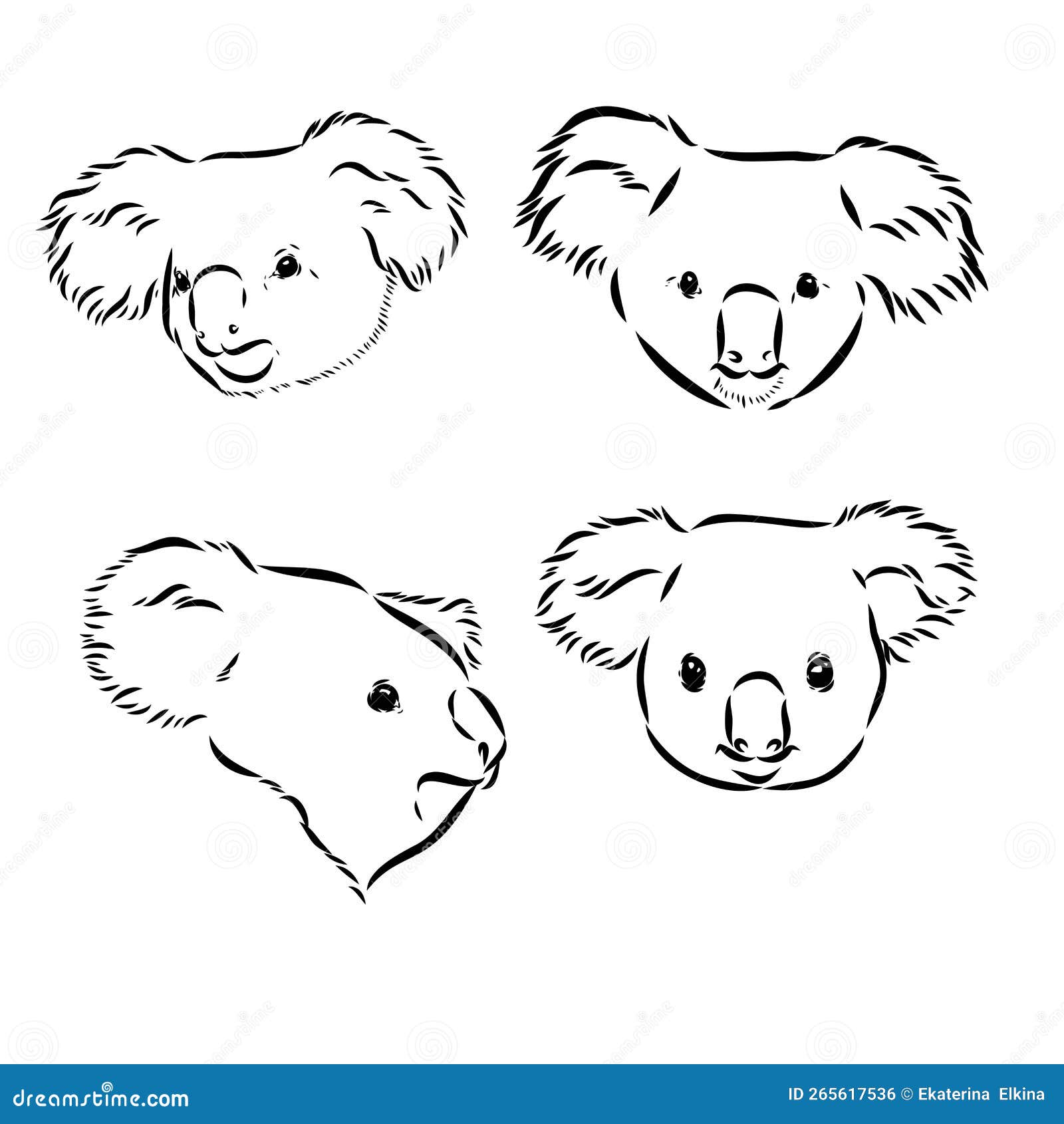 Koala Bear Animal on Tree Sketch Engraving Vector Illustration. Scratch ...