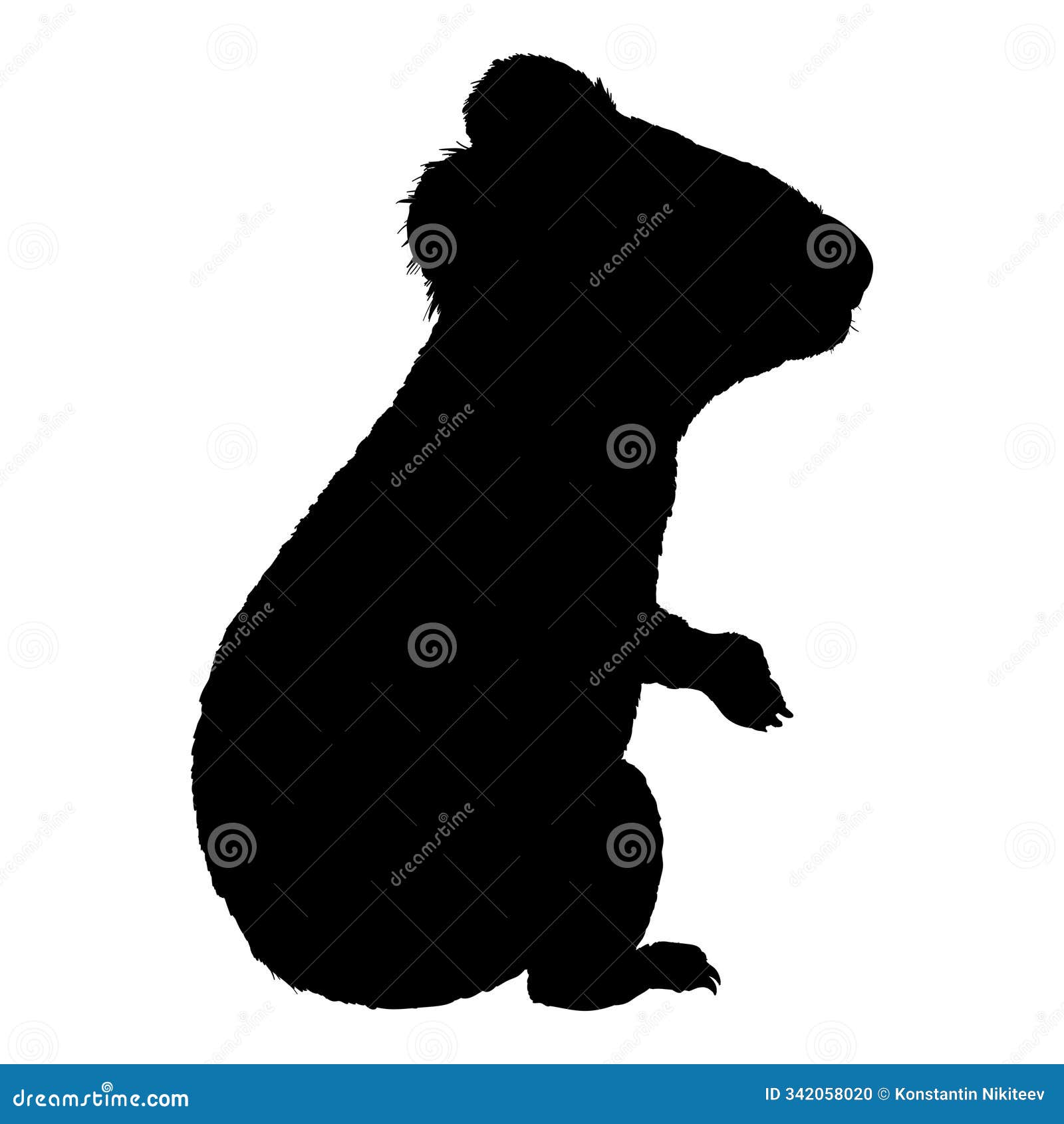Koala Black Silhouette Vector Illustration Stock Illustration ...