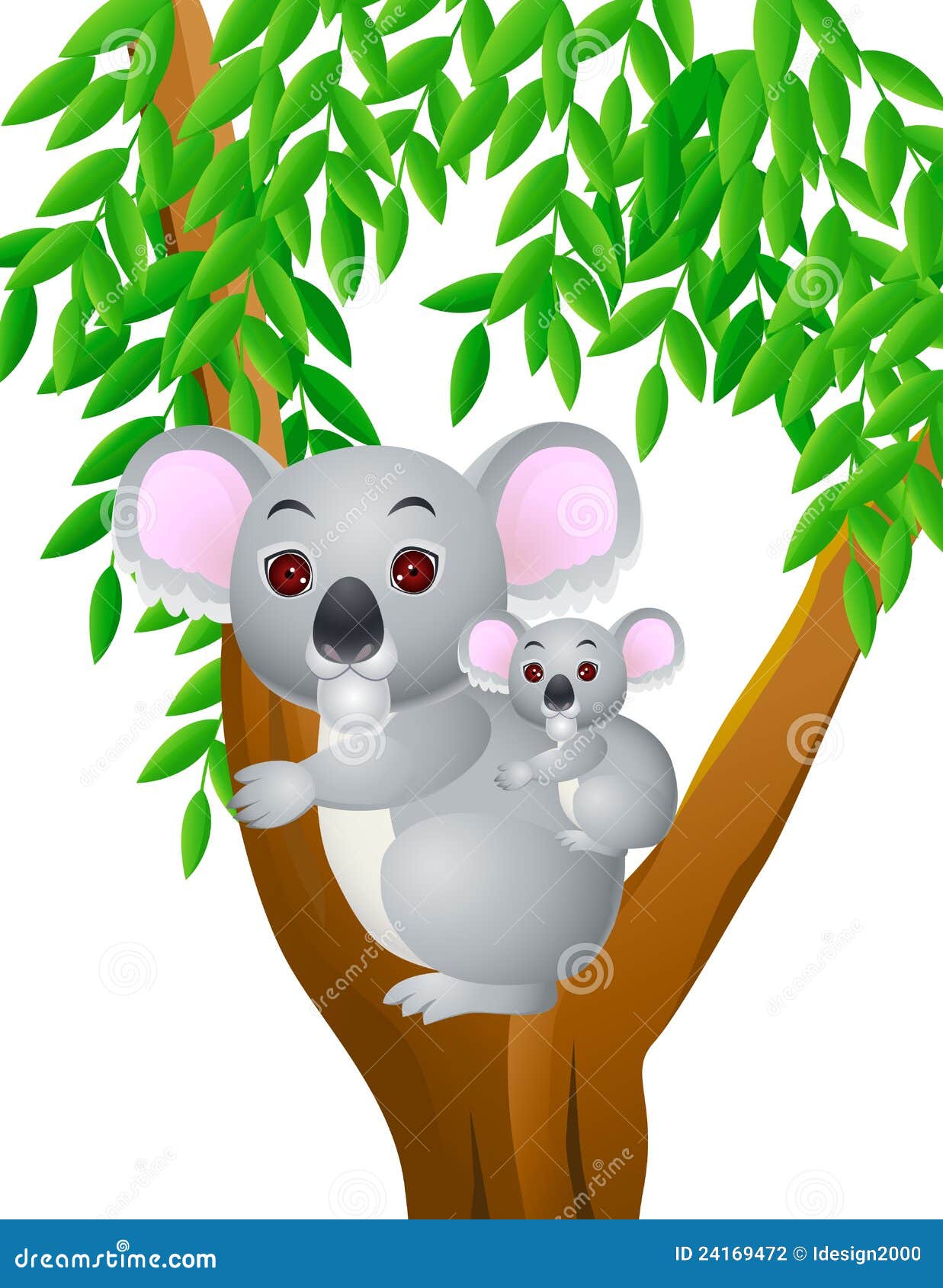 Koala cartoon stock illustration. Illustration of cute - 24169472