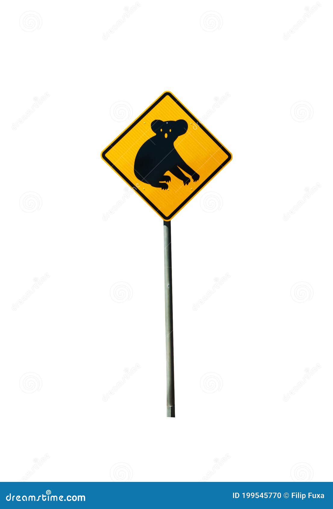 Koala Caution Sign Isolated on White Stock Photo - Image of yellow ...