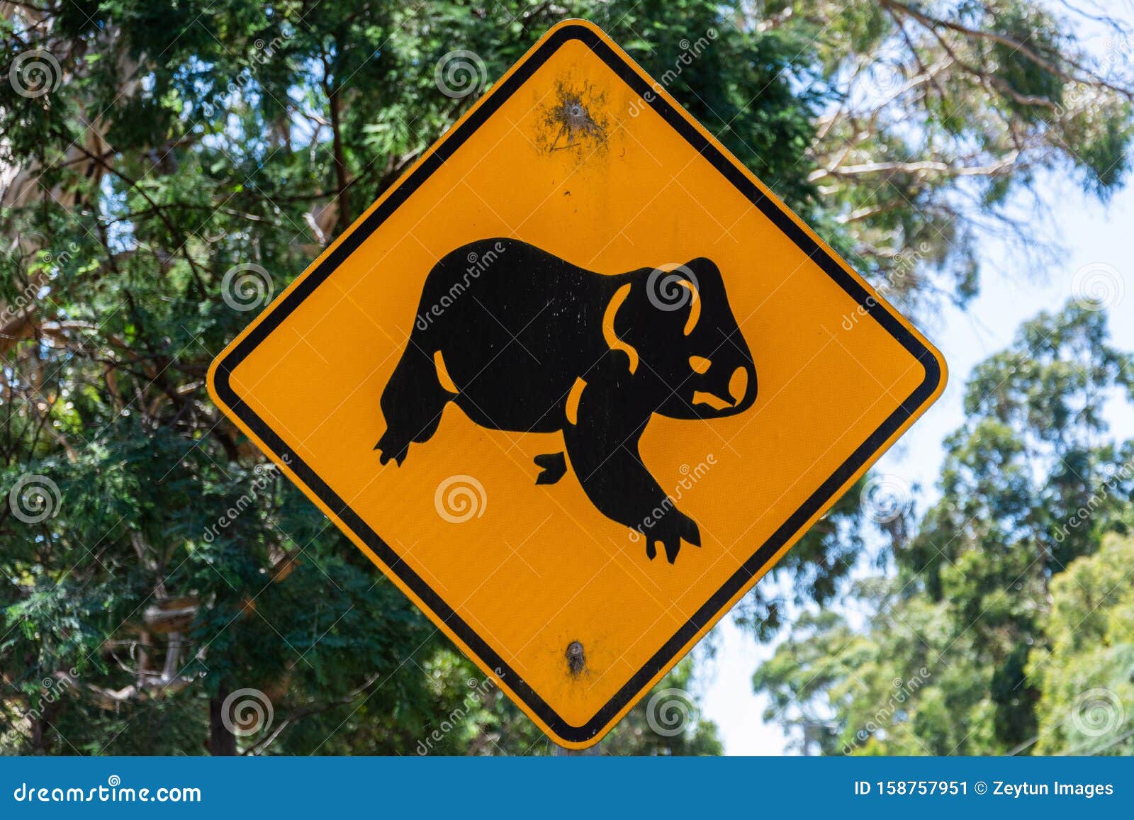 Koala crossing sign stock image. Image of oceania, alarm - 158757951