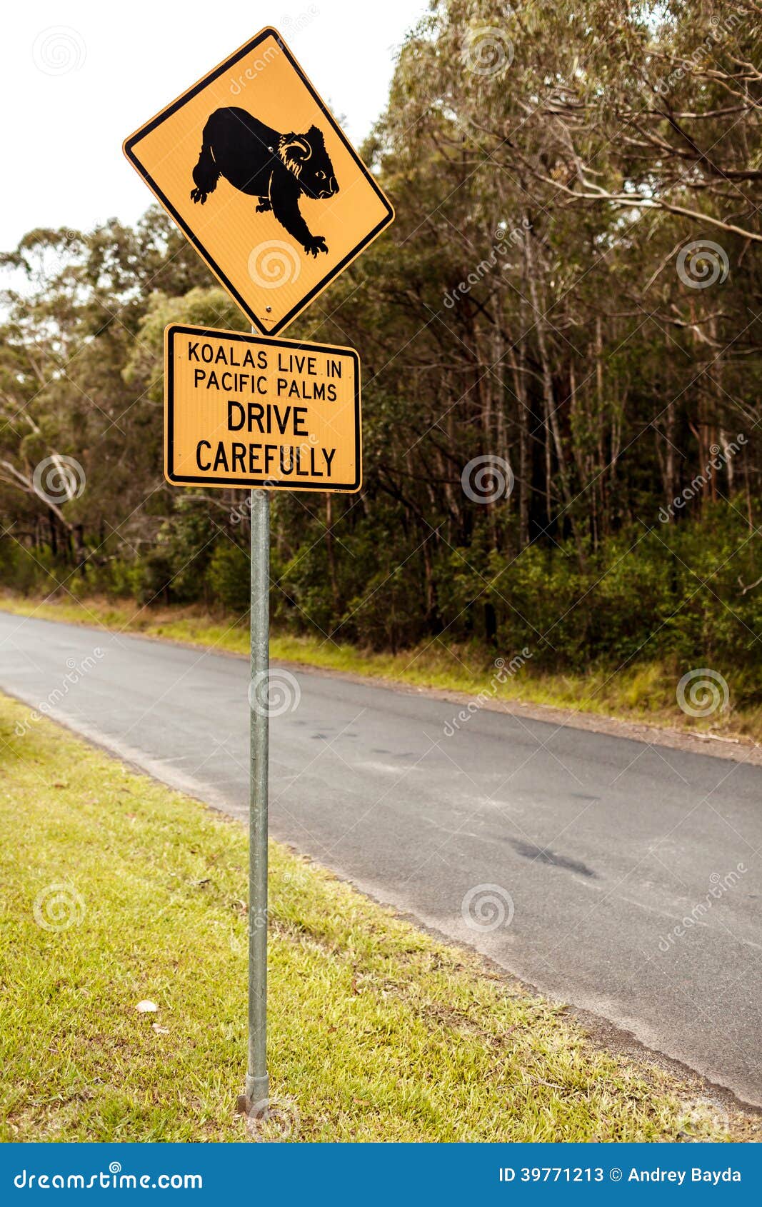 Koala Crossing Road Sign In Australia Stock Photo | CartoonDealer.com ...
