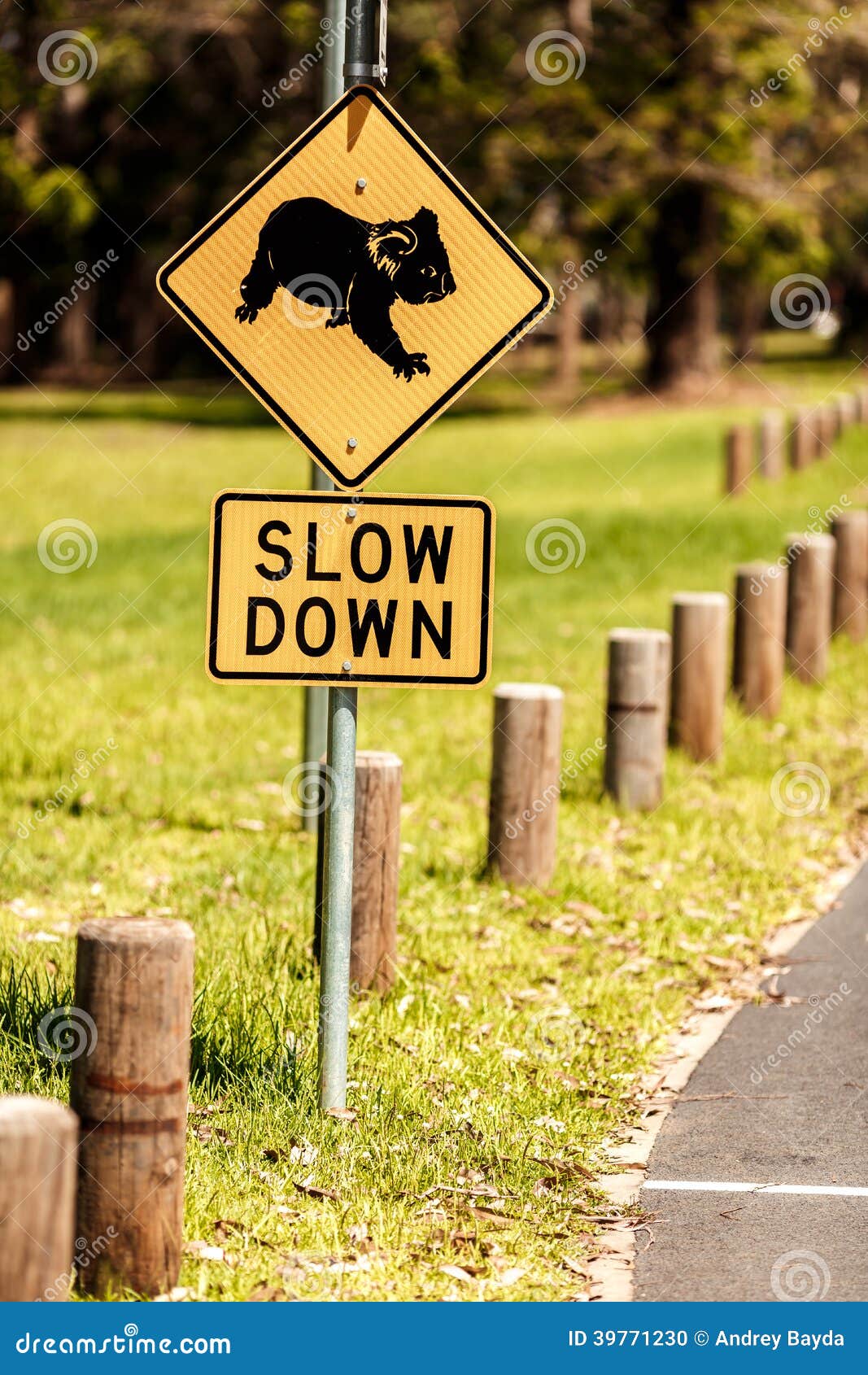Koala Crossing Road Sign In Australia Stock Photo | CartoonDealer.com ...