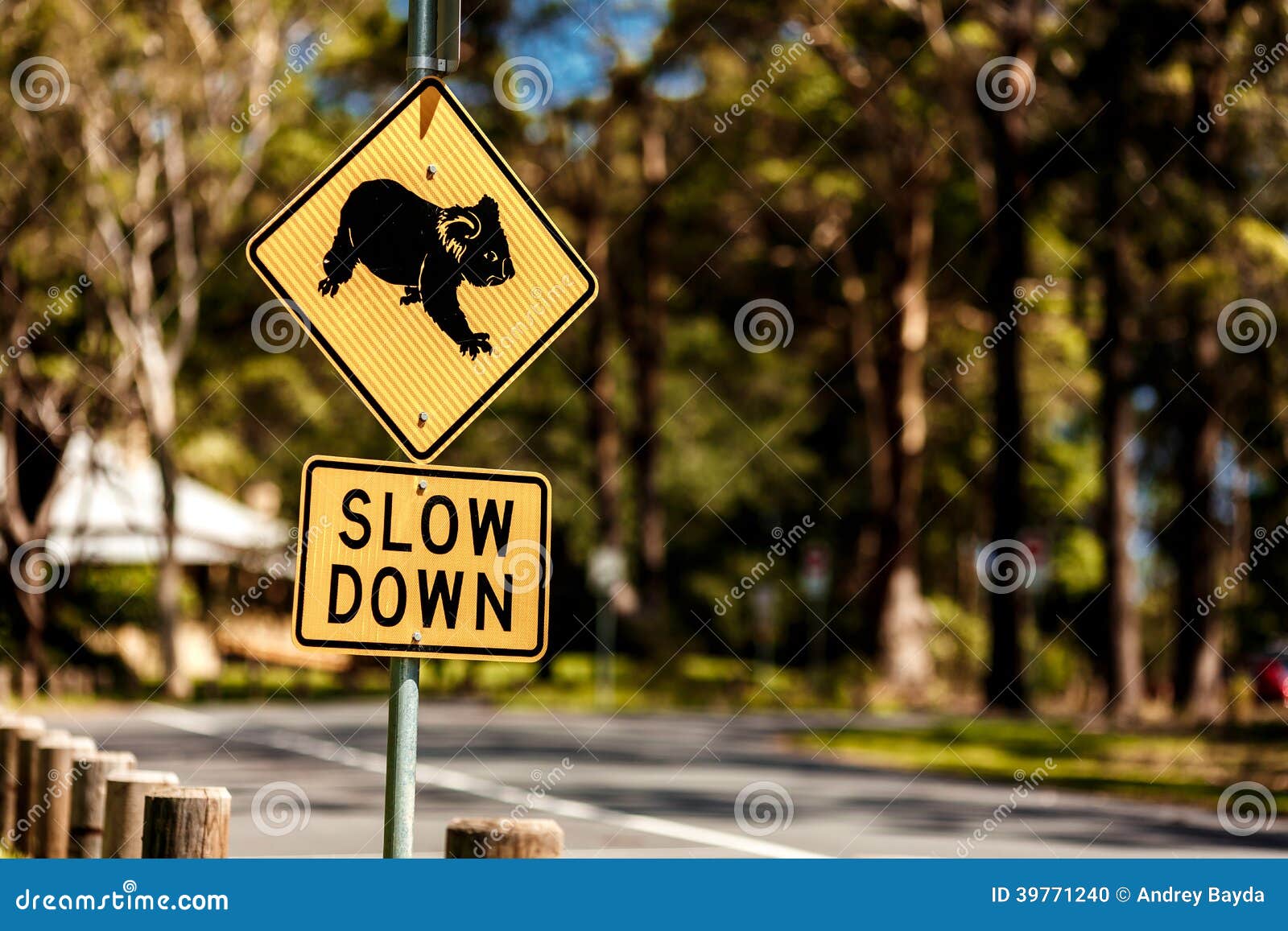 Koala Crossing sign stock photo. Image of caution, native - 39771240