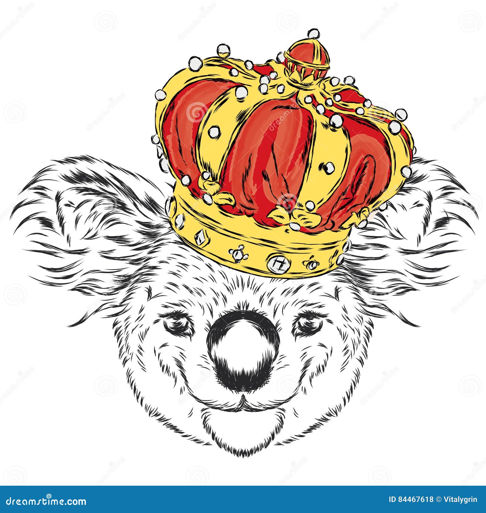 Koala in the Crown. Vector Illustration Stock Vector - Illustration of ...