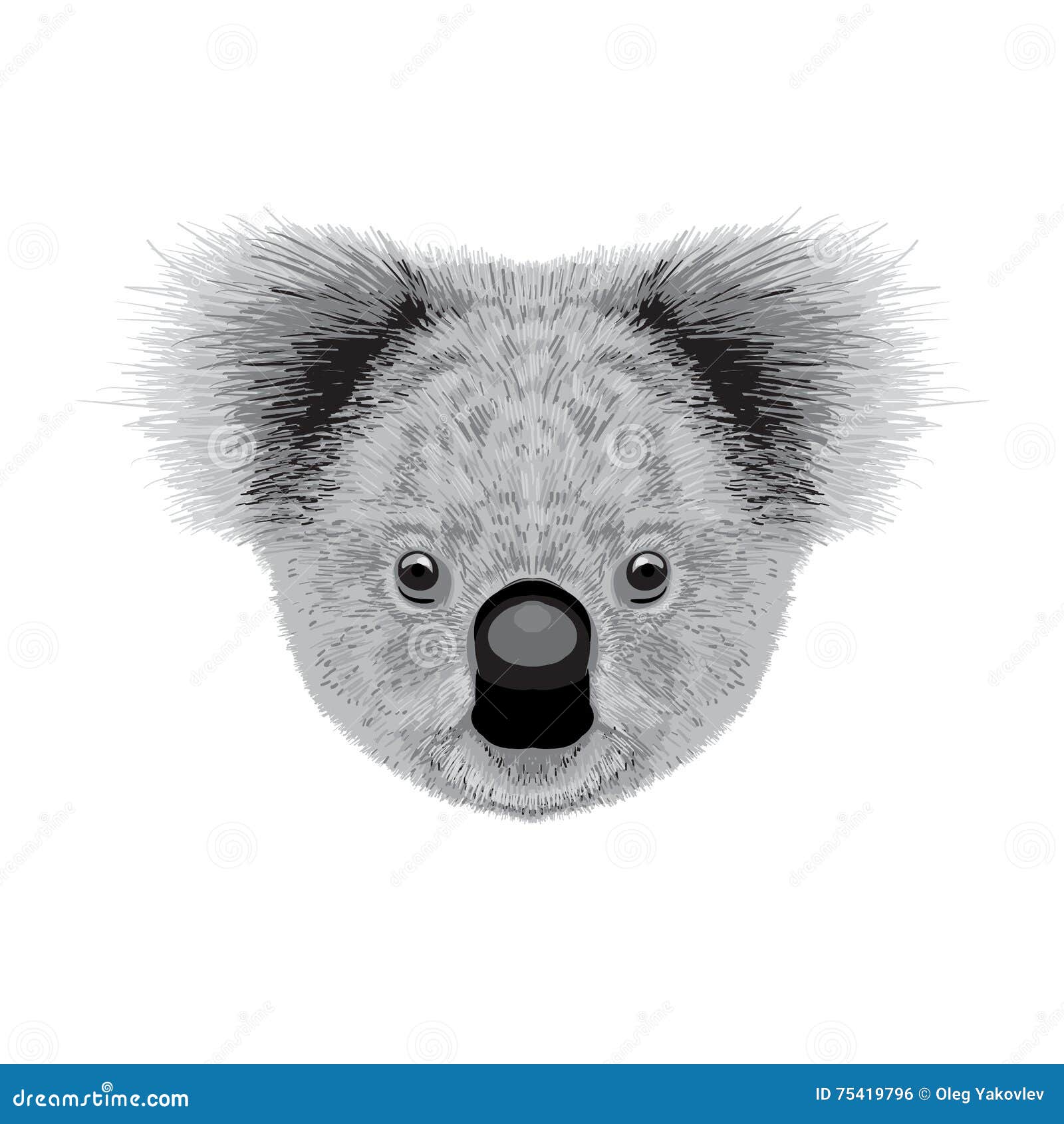 Koala cute illustration stock vector. Illustration of single - 75419796