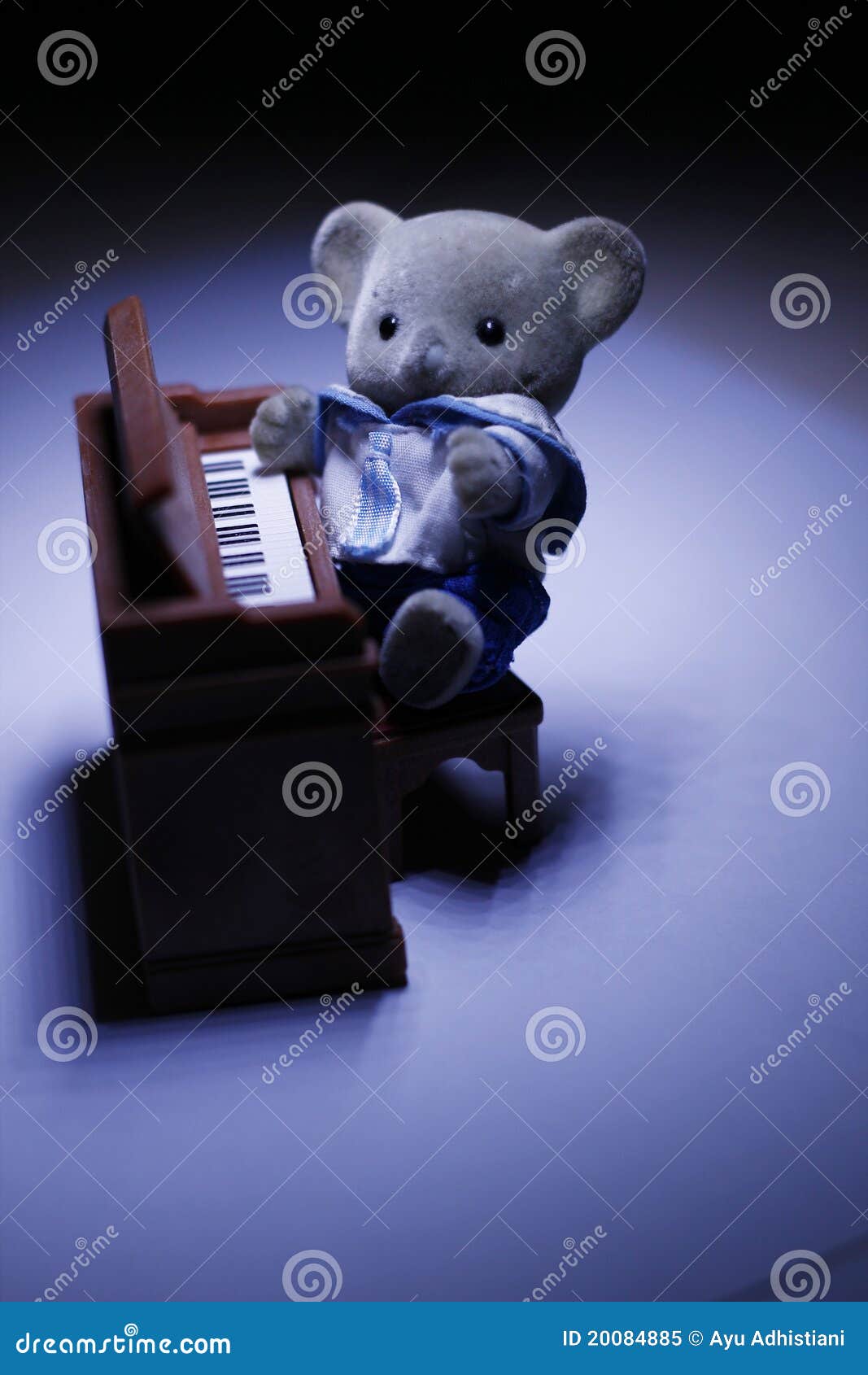 Koala is a pianist stock image. Image of song, toys, melodic - 20084885