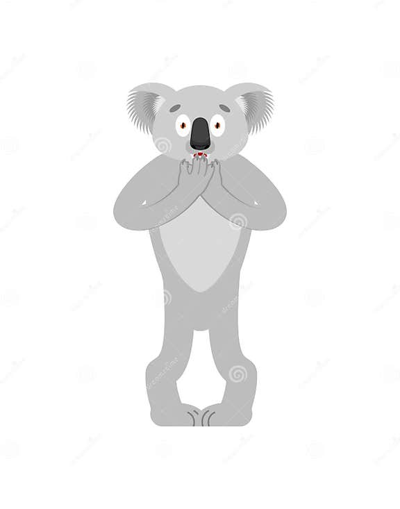 Koala Scared. Koala Bear Frightened. Beast Afraid Stock Vector ...