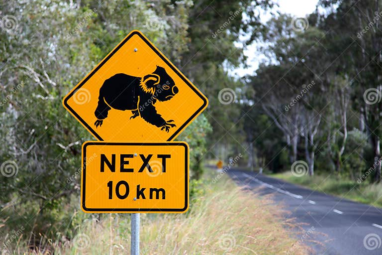 Koala sign stock photo. Image of sign, road, roadway - 15625482
