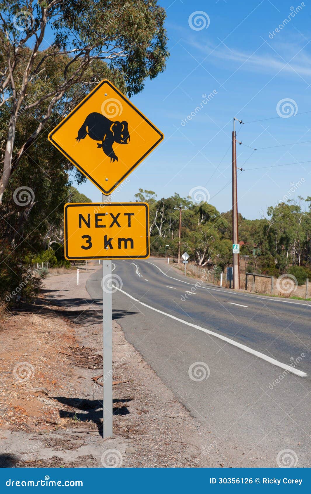 Koala Sign Stock Photo | CartoonDealer.com #15625482