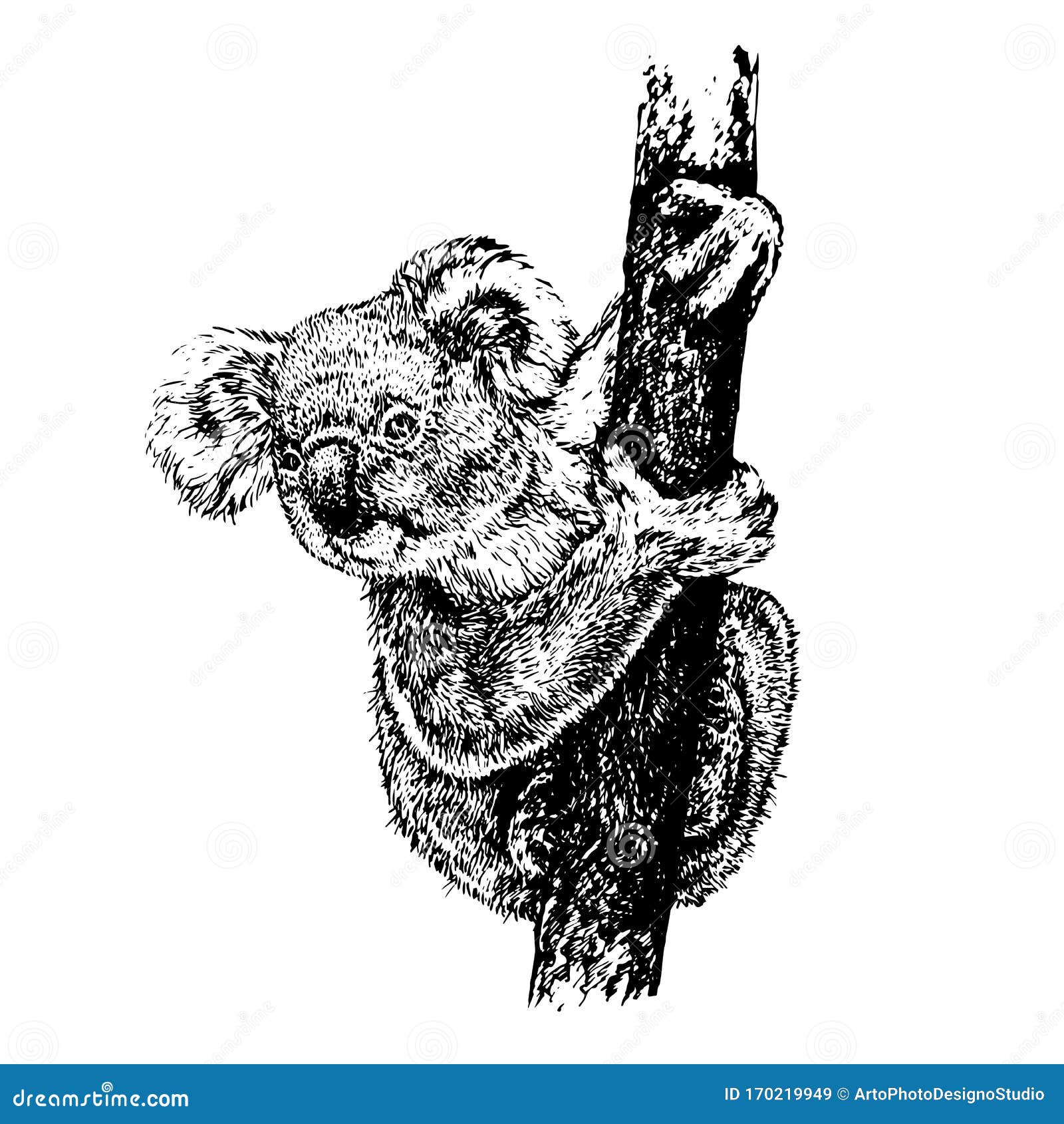 Koala on Tree Branch, Hand Drawn Doodle, Sketch in Pop Art Style Stock ... Koala on Tree Branch, Hand Drawn Doodle, Sketch in Pop Art Style Stock ...