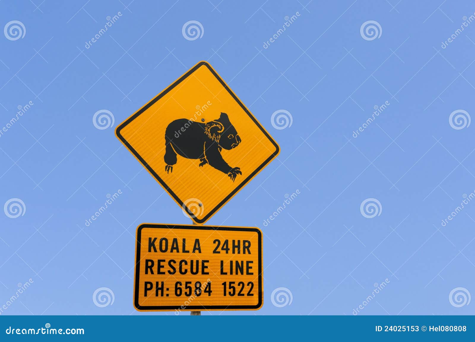 Koala Warning Sign,koala Traffic Warn Sign, Australia Stock Image ...