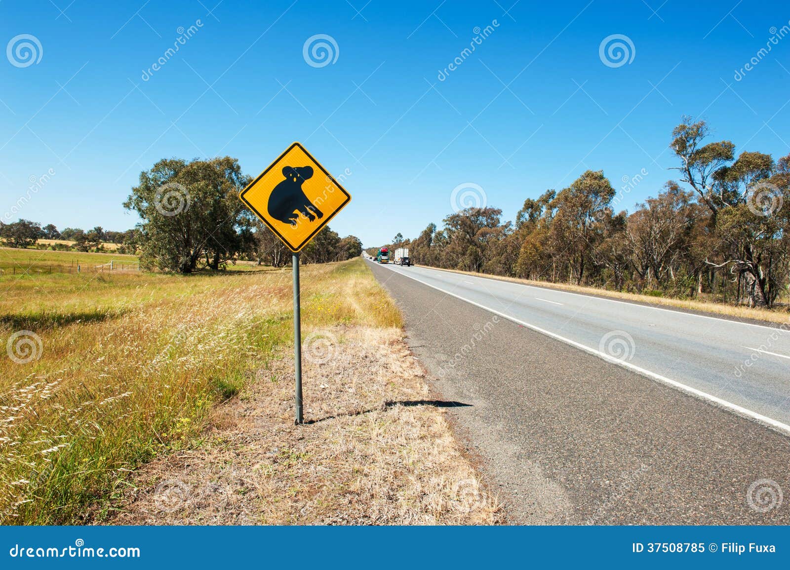 Koala Traffic Warning Sign At A Road With Power Pole In The Distance ...