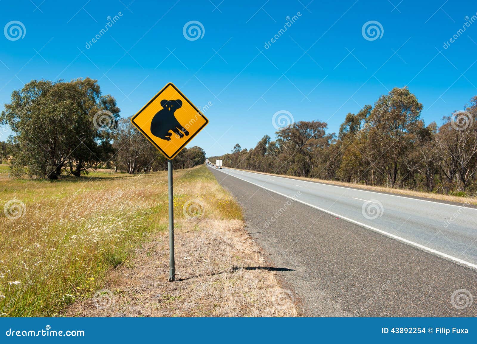 Koala Traffic Warning Sign At A Road With Power Pole In The Distance ...