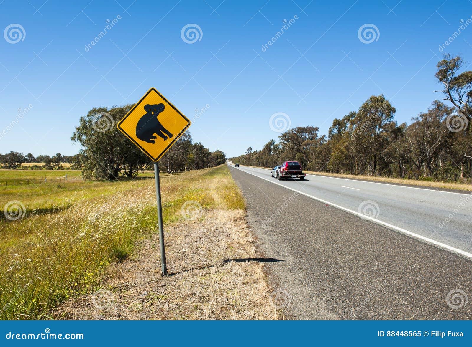 Koala Traffic Warning Sign At A Road With Power Pole In The Distance ...