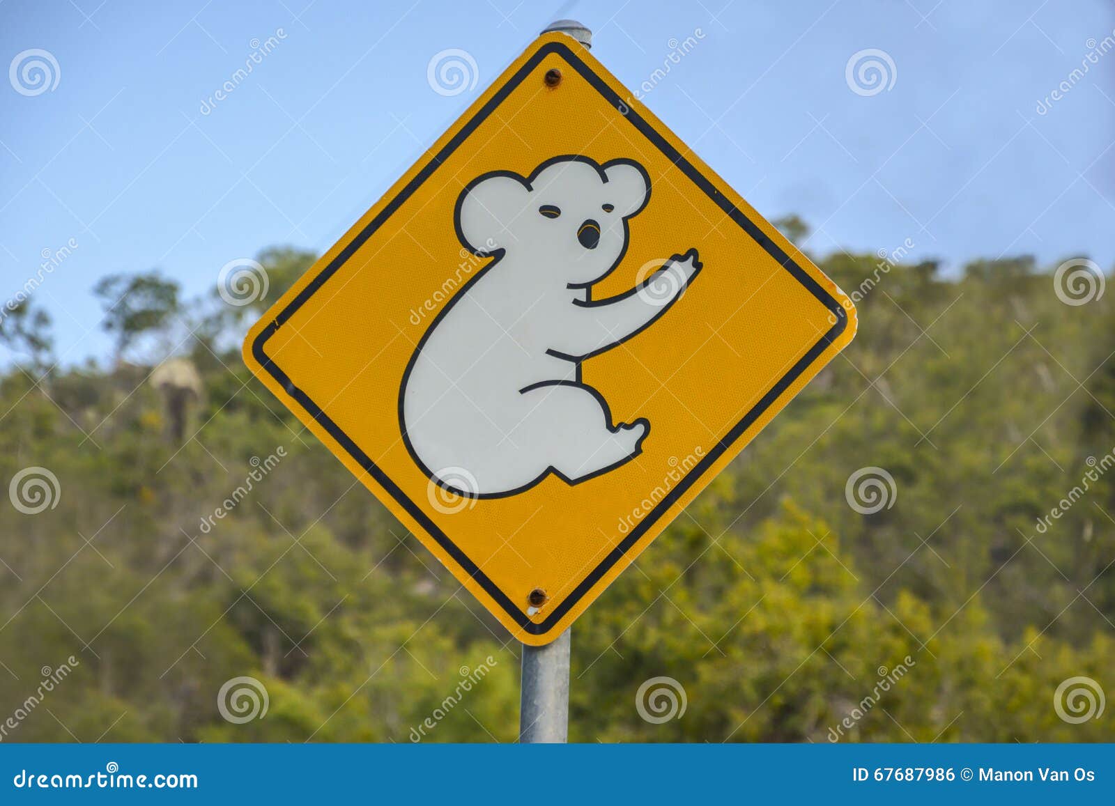 Koala Warning Sign,koala Traffic Warn Sign, Australia Stock Image ...