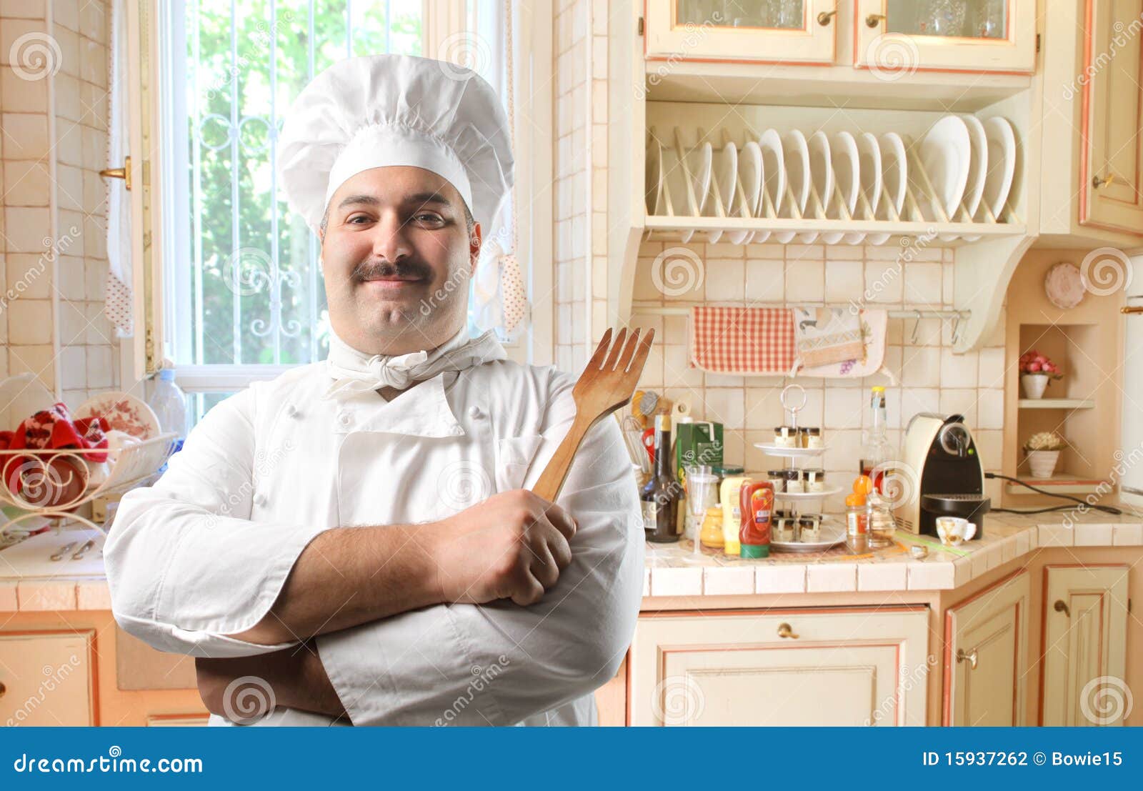 Koch stockfoto. Bild von glücklich, gabel, koch, kaukasisch - 15937262