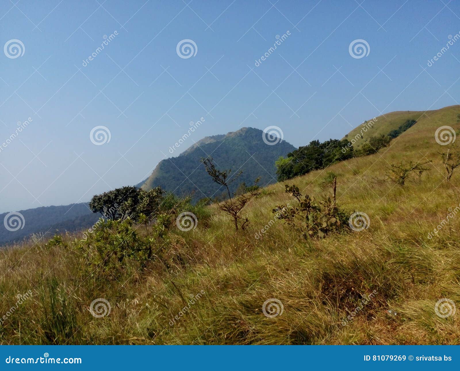 Kodachadri Hill Station India Stock Image - Image of kodachadri, nature ...