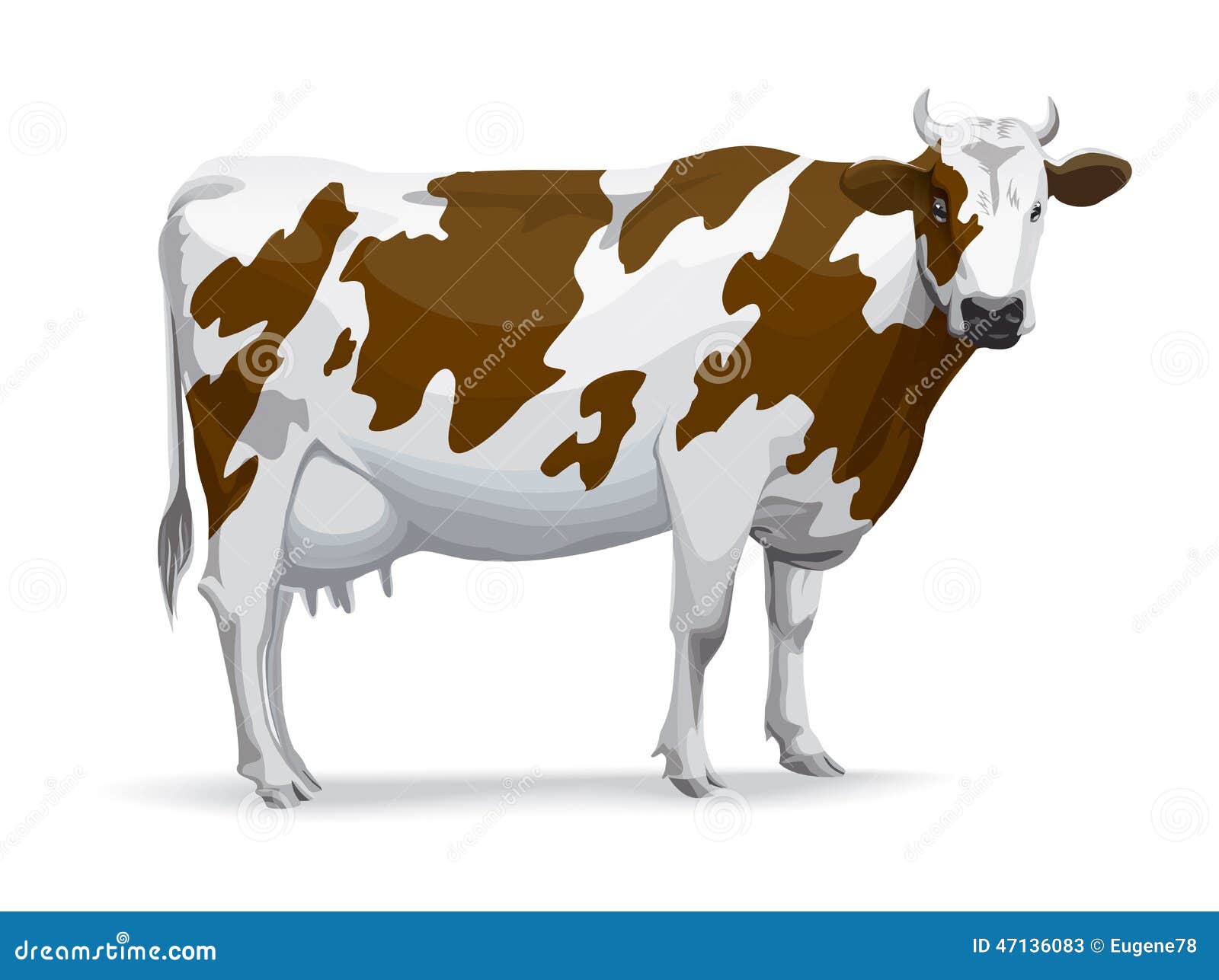 Koe vector illustratie. Illustration of hoofd, kaaien - 47136083