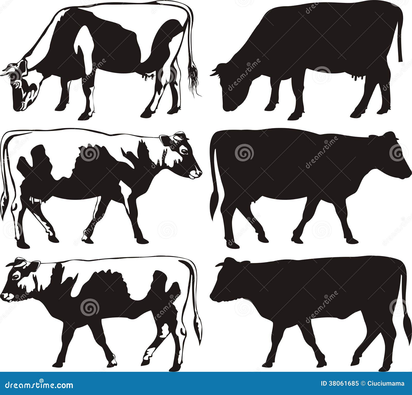 Koe en stier - silhouetten vector illustratie. Illustration of ...