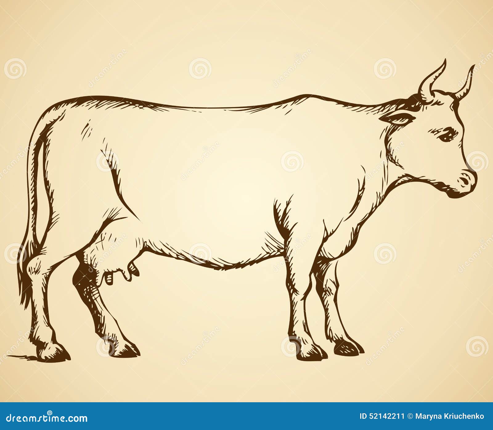 Koe Vector tekening vector illustratie. Illustration of gravure - 52142211