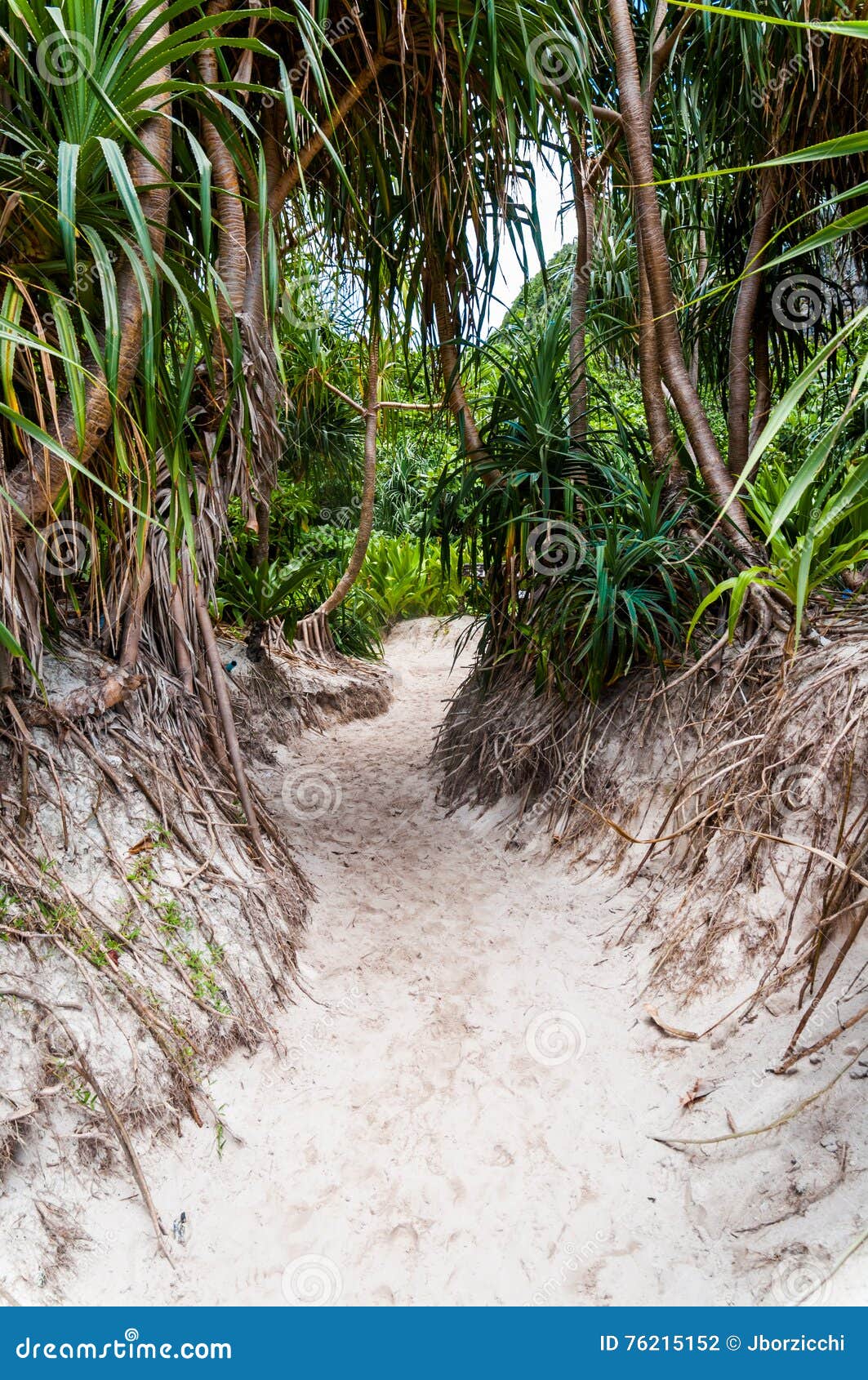 Koh Phi Phi Island Tsunami, Segnale Di Pericolo Fotografia Stock ...