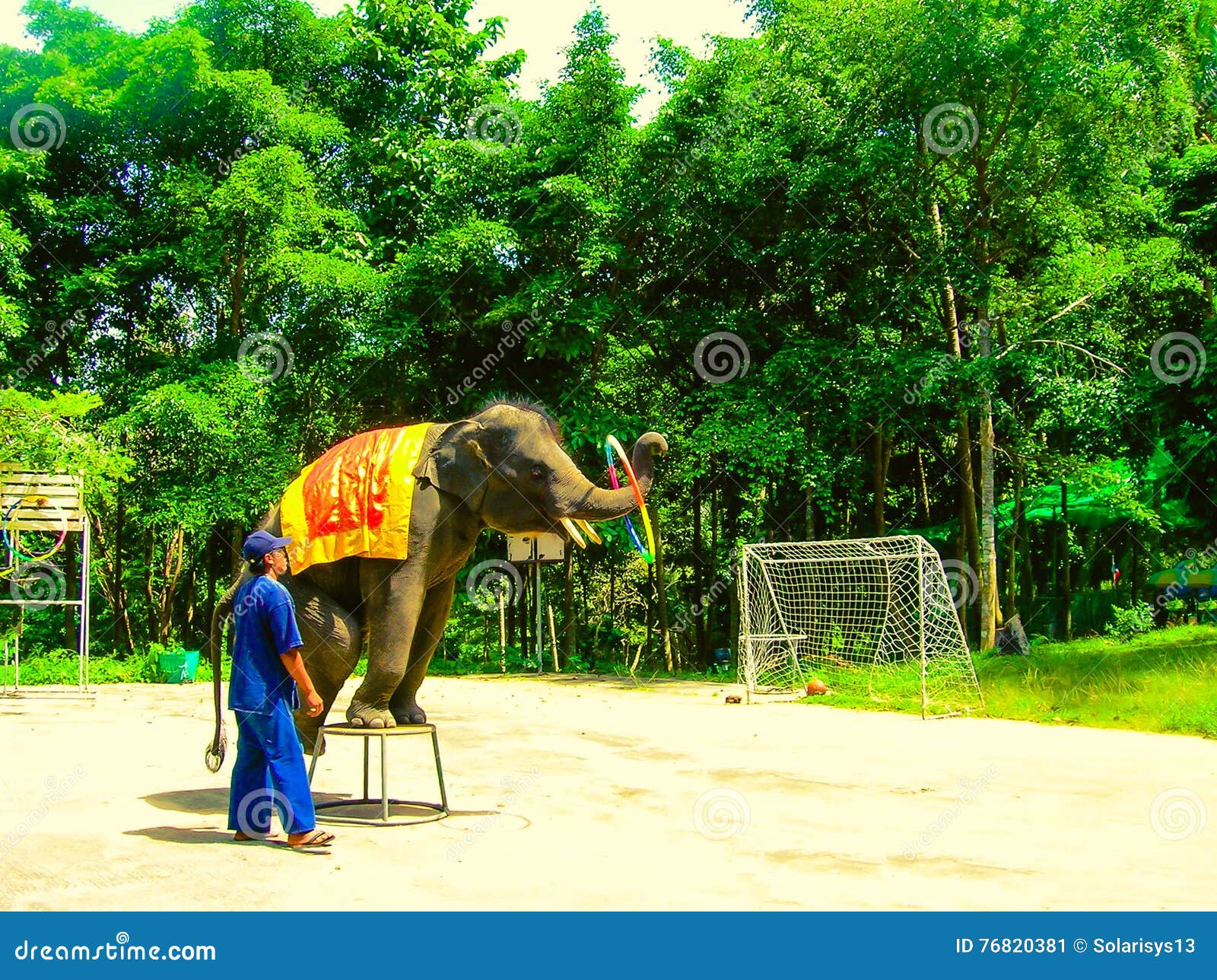 Koh Samui, Thailand - June 21, 2008: Young Elephant Doing Tricks ...