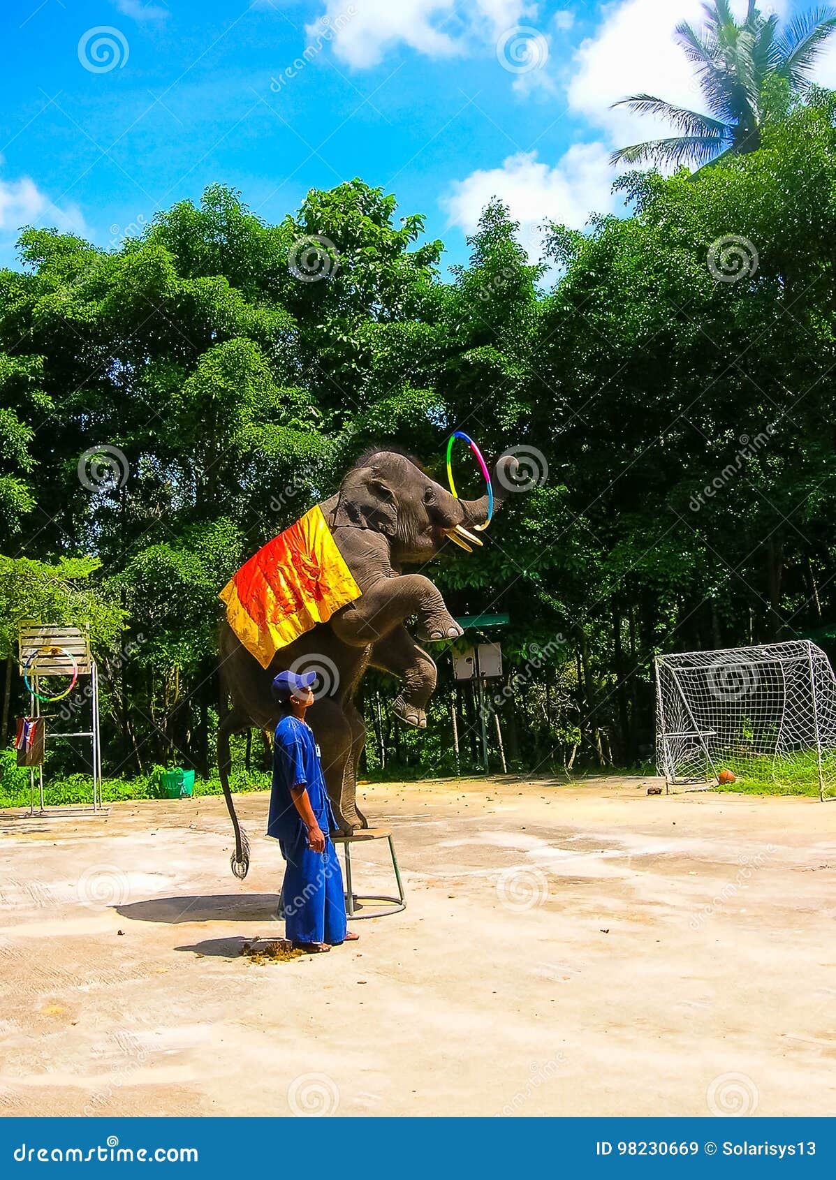 Koh Samui, Thailand - June 21, 2008: Young Elephant Doing Tricks ...