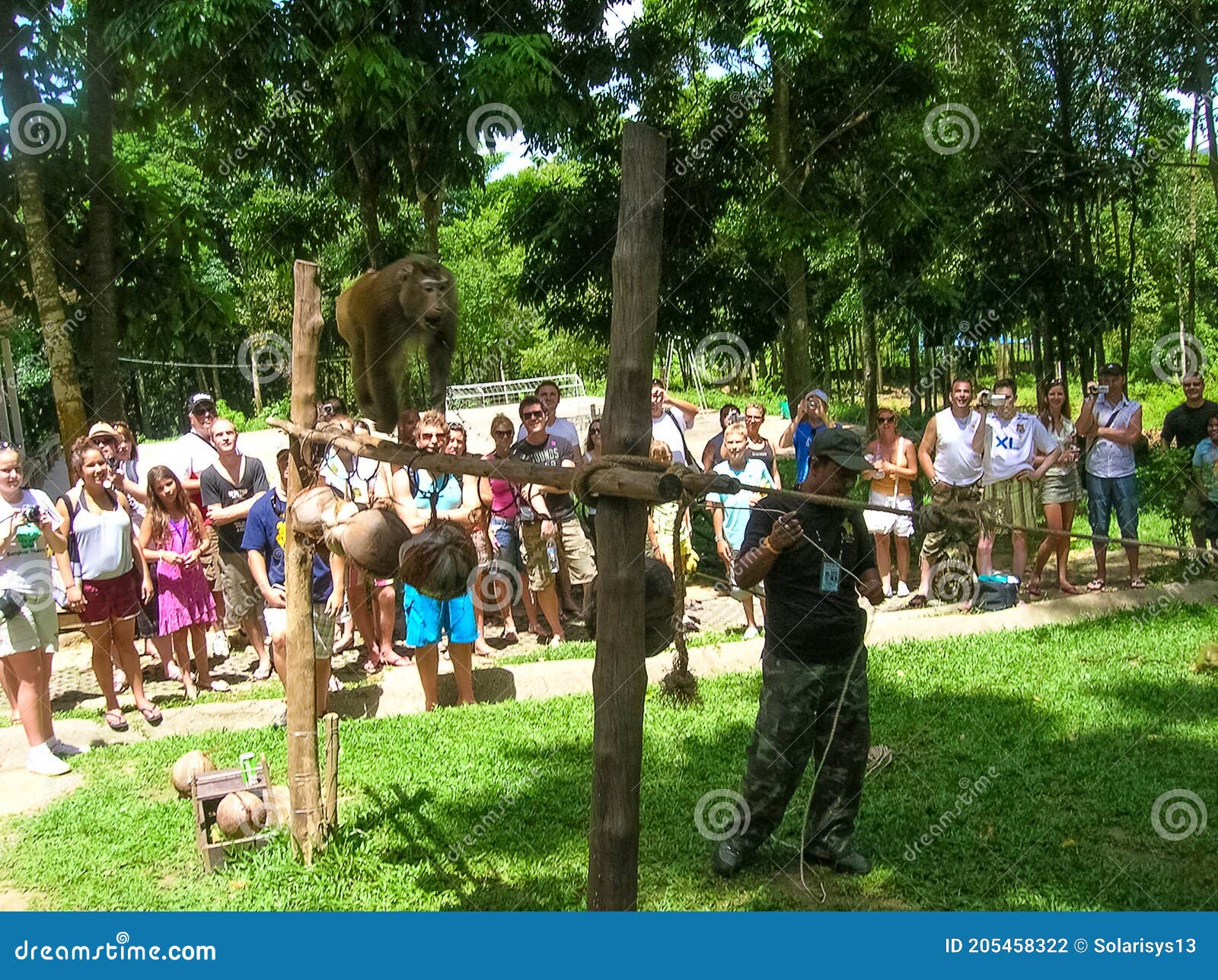 Koh Samui, Thailand - June 21, 2008: the Young Monkeys Doing Tricks ...