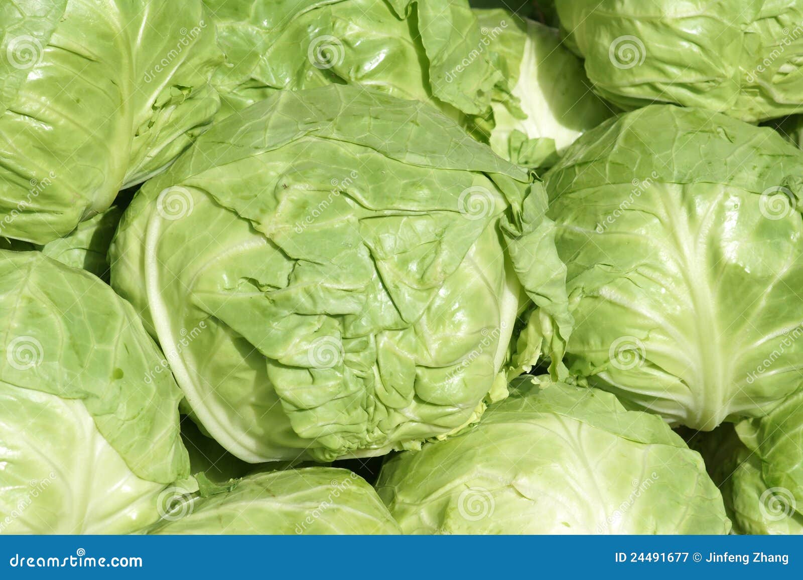 Kohl stockbild. Bild von hintergrund, brokkoli, vegetarier - 24491677