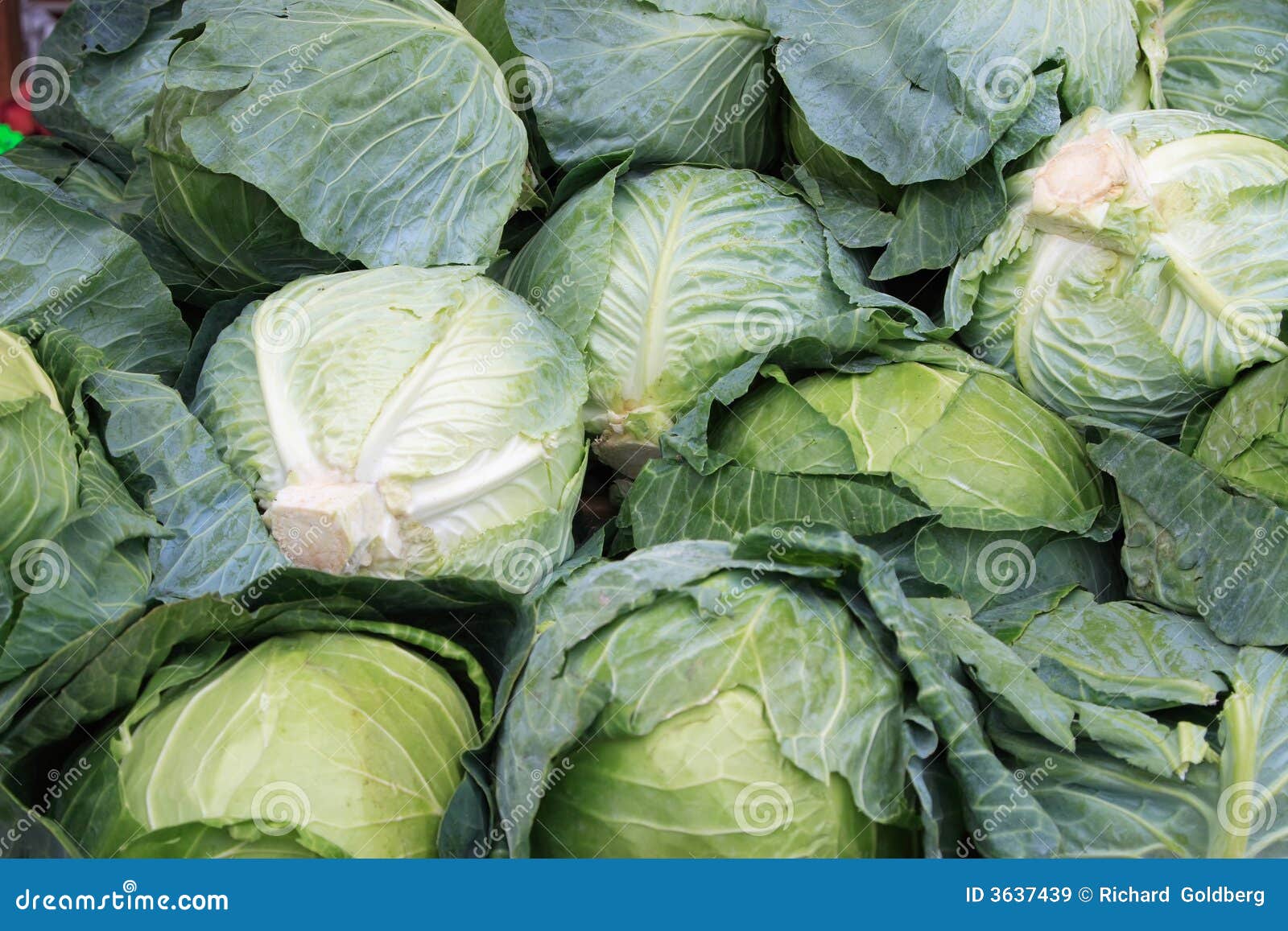 Kohl stockbild. Bild von vitamine, köpfe, frech, gemüse - 3637439