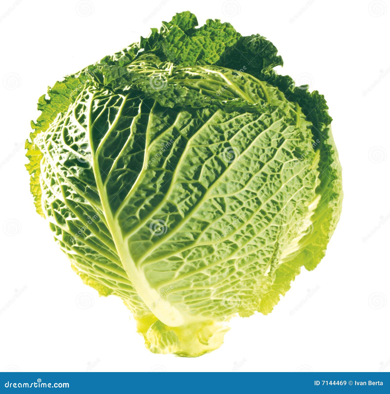 Kohl stockbild. Bild von grün, vegetarier, gesund, kohl - 7144469