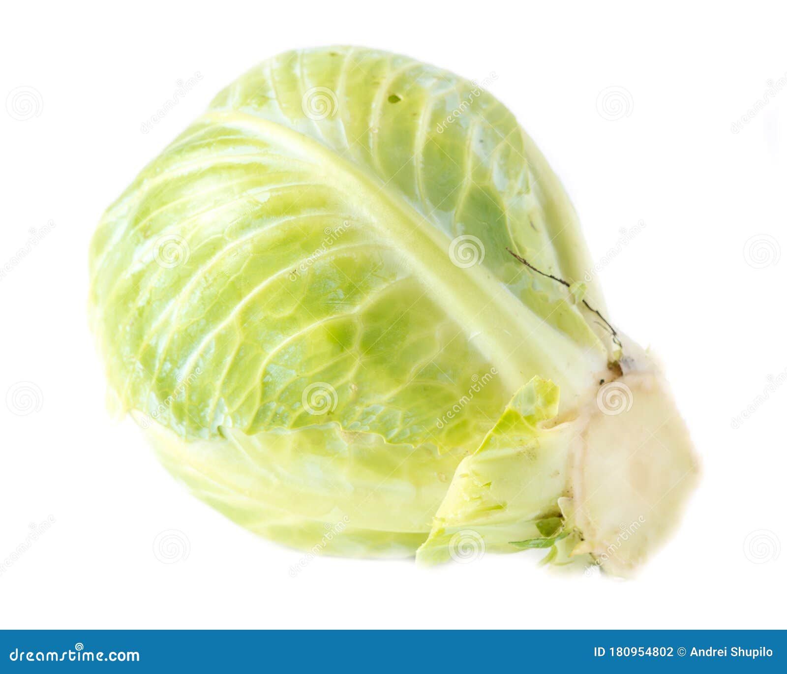 Kohlkopf Isoliert Auf Einem Weißen Hintergrund Stockfoto - Bild von ...