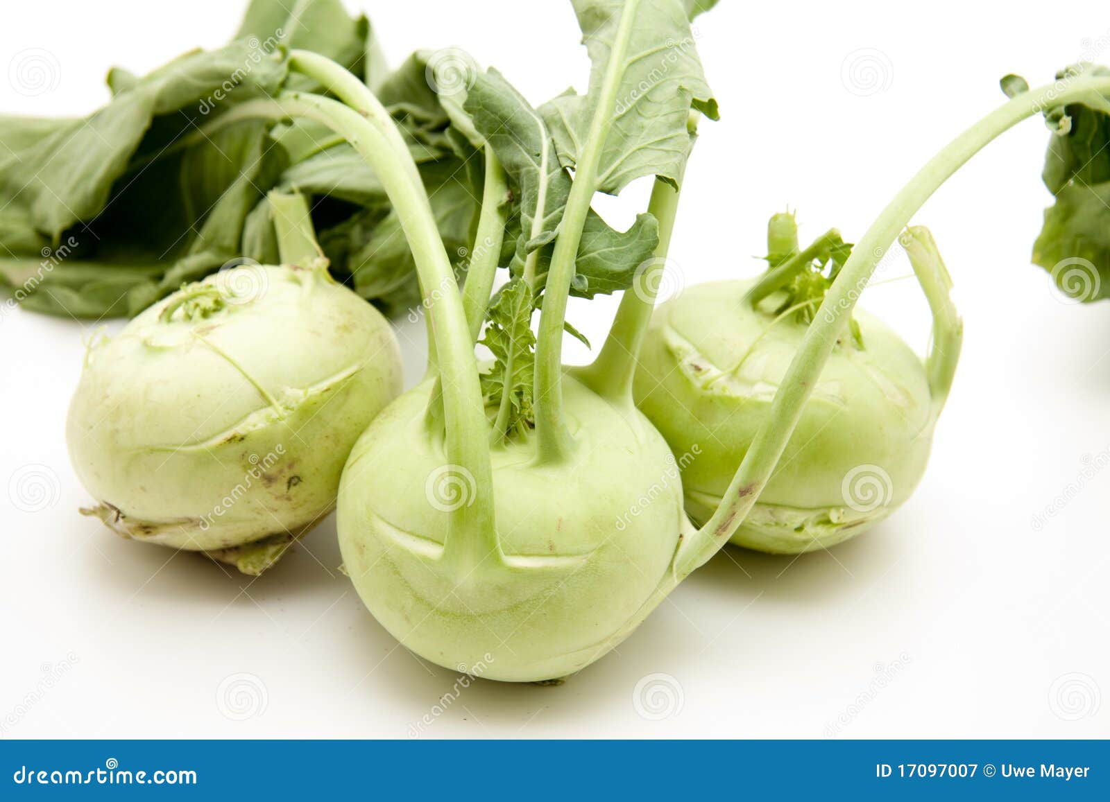 Kohlrabi stock image. Image of kohlrabi, leaves, isolated - 17097007
