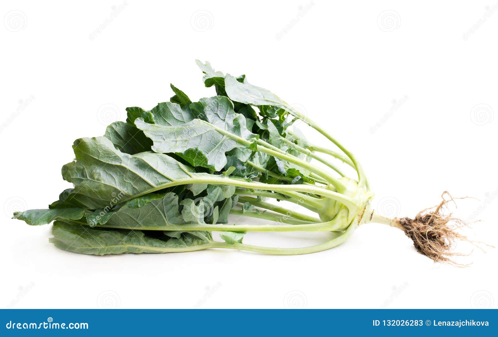 Kohlrabi Cabbage with Root Isolated on White Stock Image - Image of ...