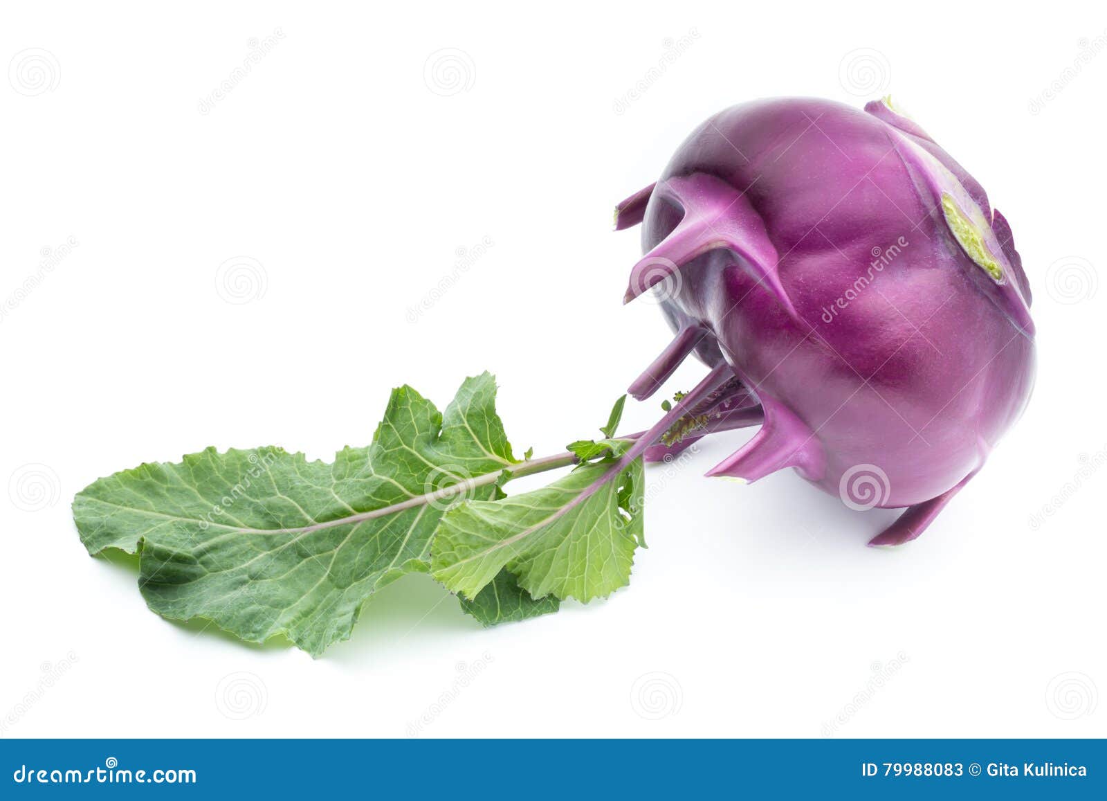Kohlrabi Root Isolated on the White Background Stock Image - Image of ...