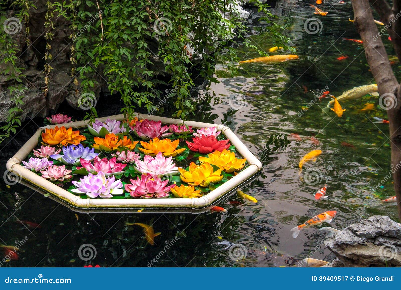 Koi Fish and Flowers in a Pond Stock Image - Image of pink, floral ...