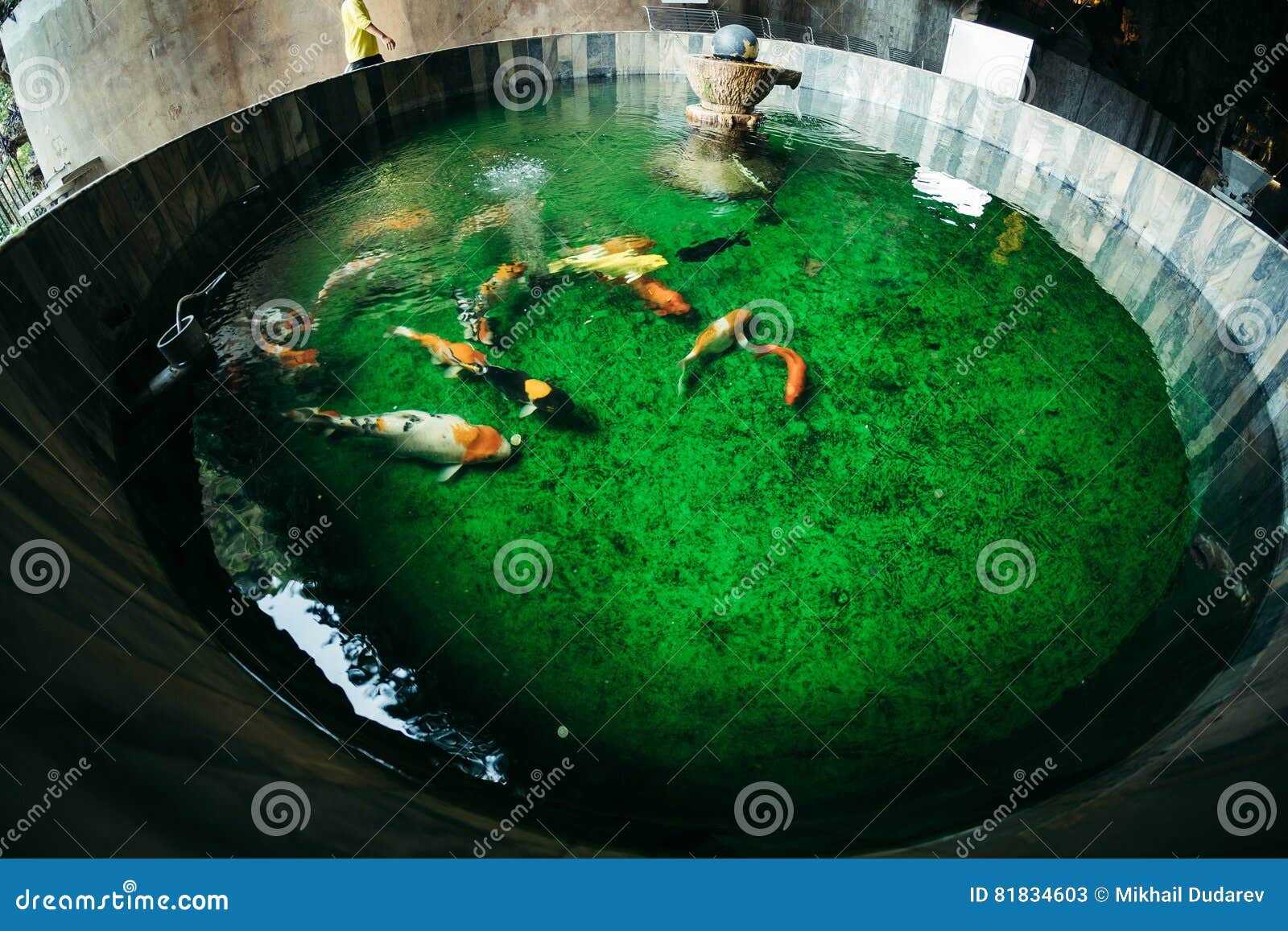 Koi fish in pool stock image. Image of asian, fountain - 81834603