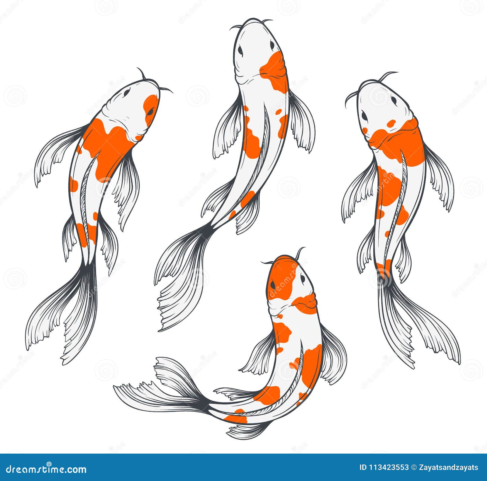 Koi Fish Set ilustración del vector. Ilustración de hermoso - 113423553