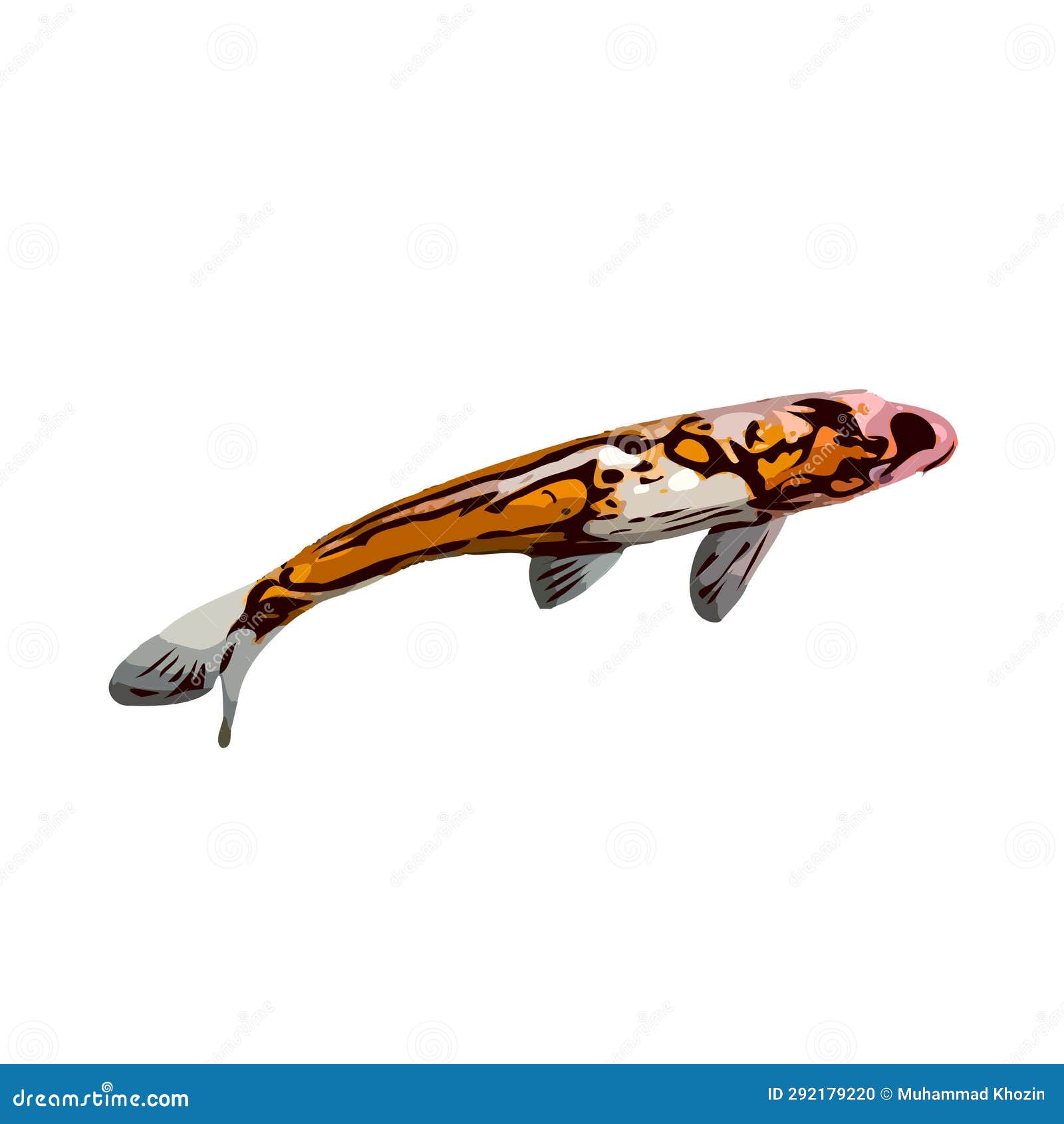 Color Sketch of Koi Fish for Brochure and Pamphlet Elements Stock ...