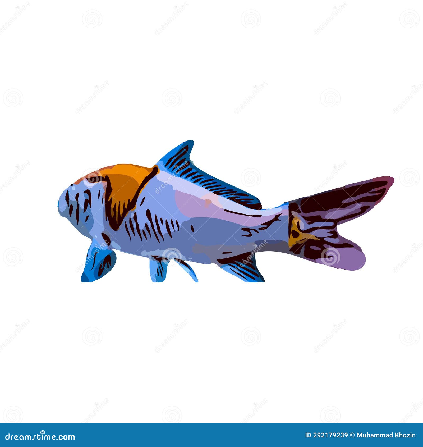 Color Sketch of Koi Fish for Brochure and Pamphlet Elements Stock ...