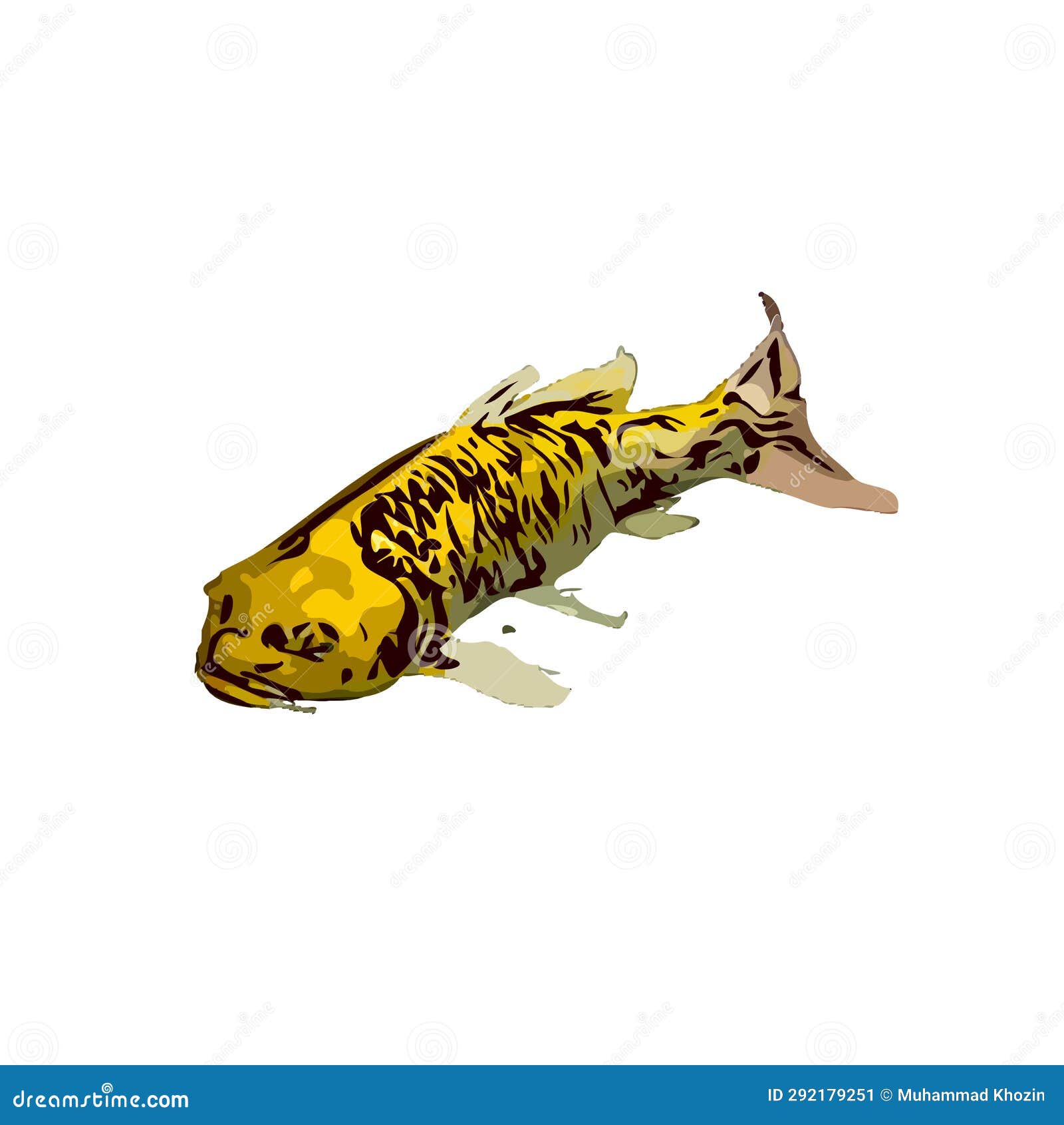 Color Sketch of Koi Fish for Brochure and Pamphlet Elements Stock ...