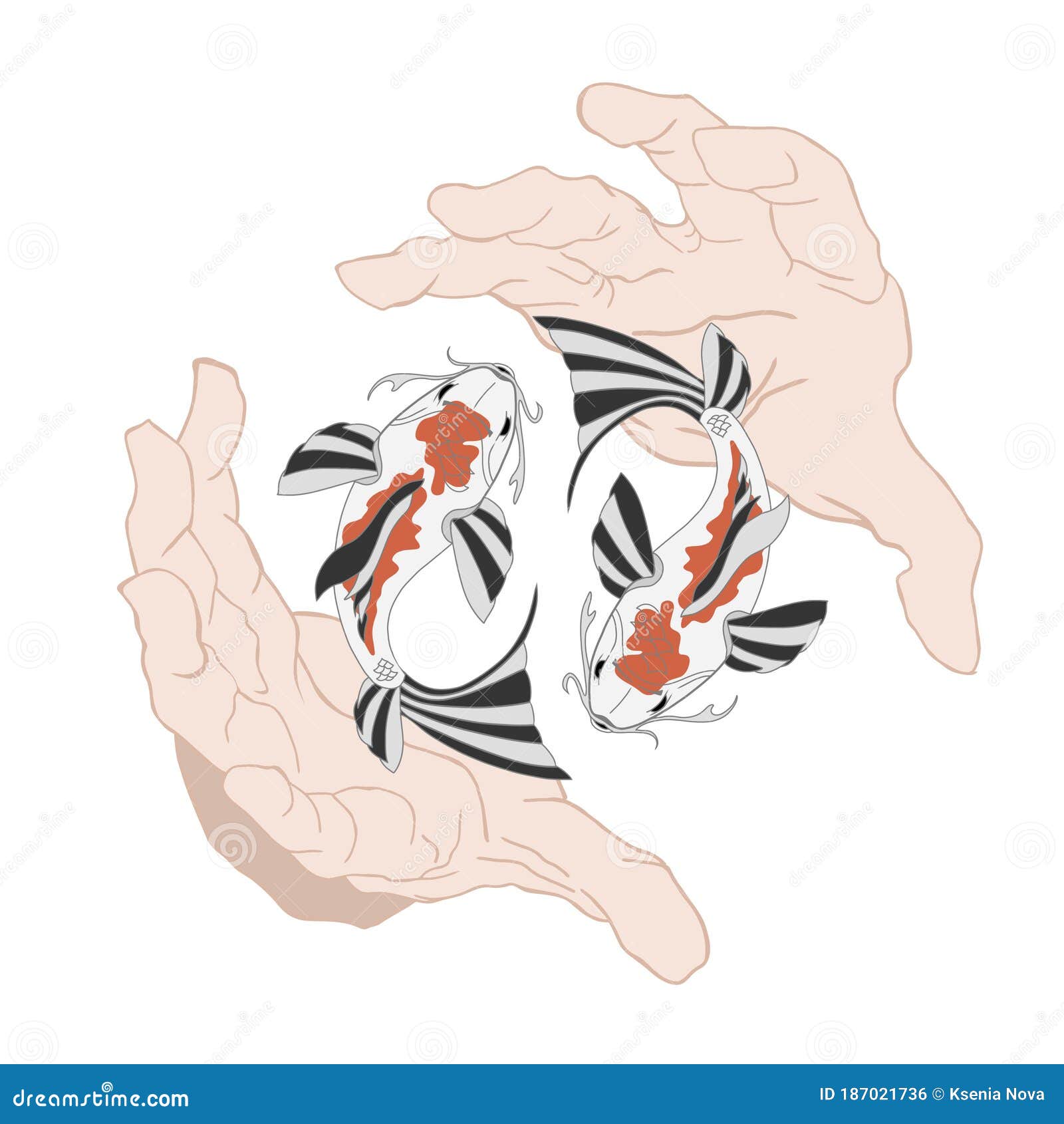 Koi fish in two hands stock illustration. Illustration of hands - 187021736