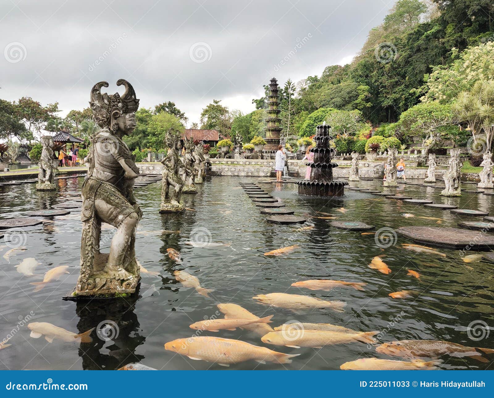 Koi pond in bali indonesia editorial stock photo. Image of indonesia ...