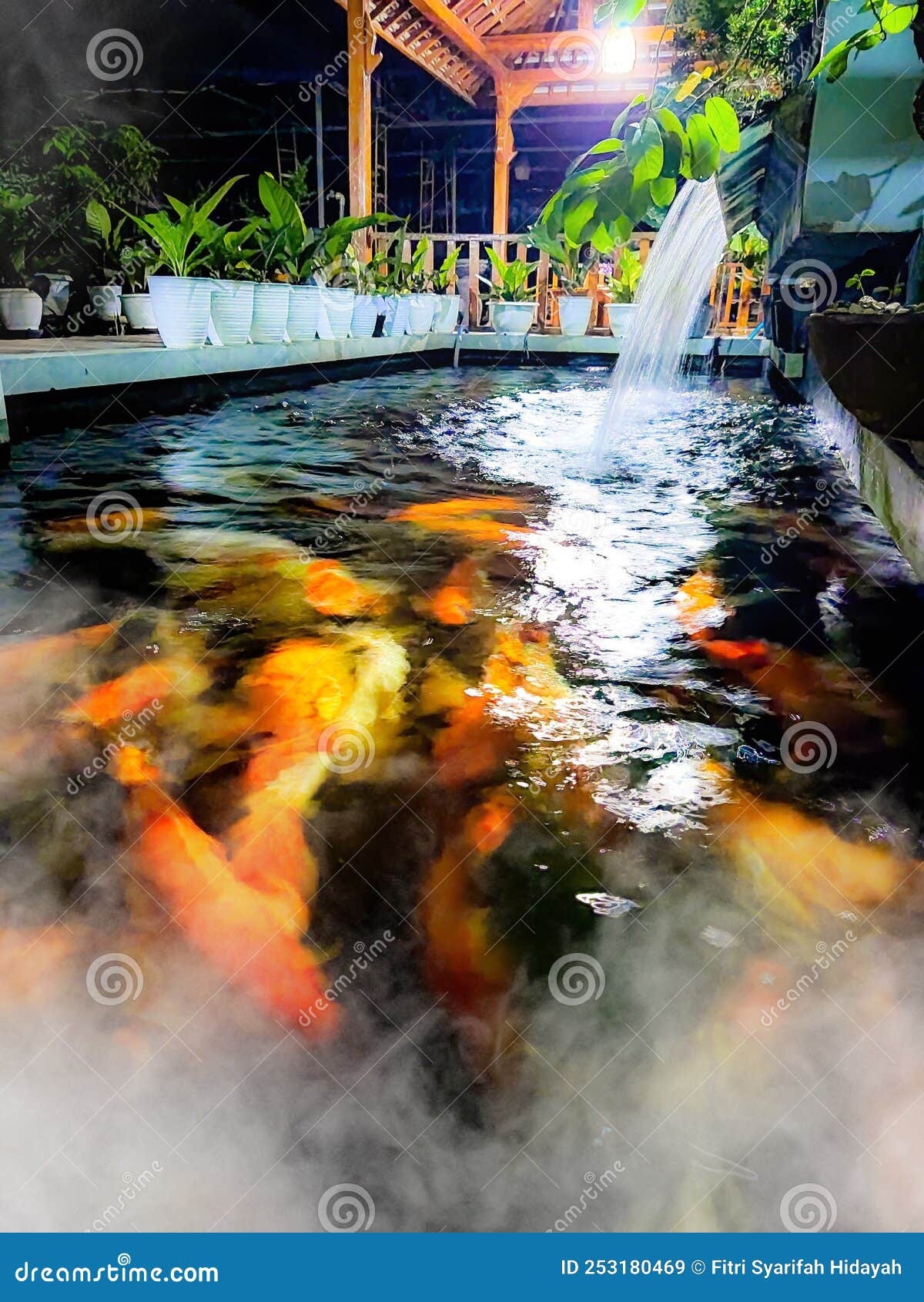 Koi pond in the night stock image. Image of blowing - 253180469