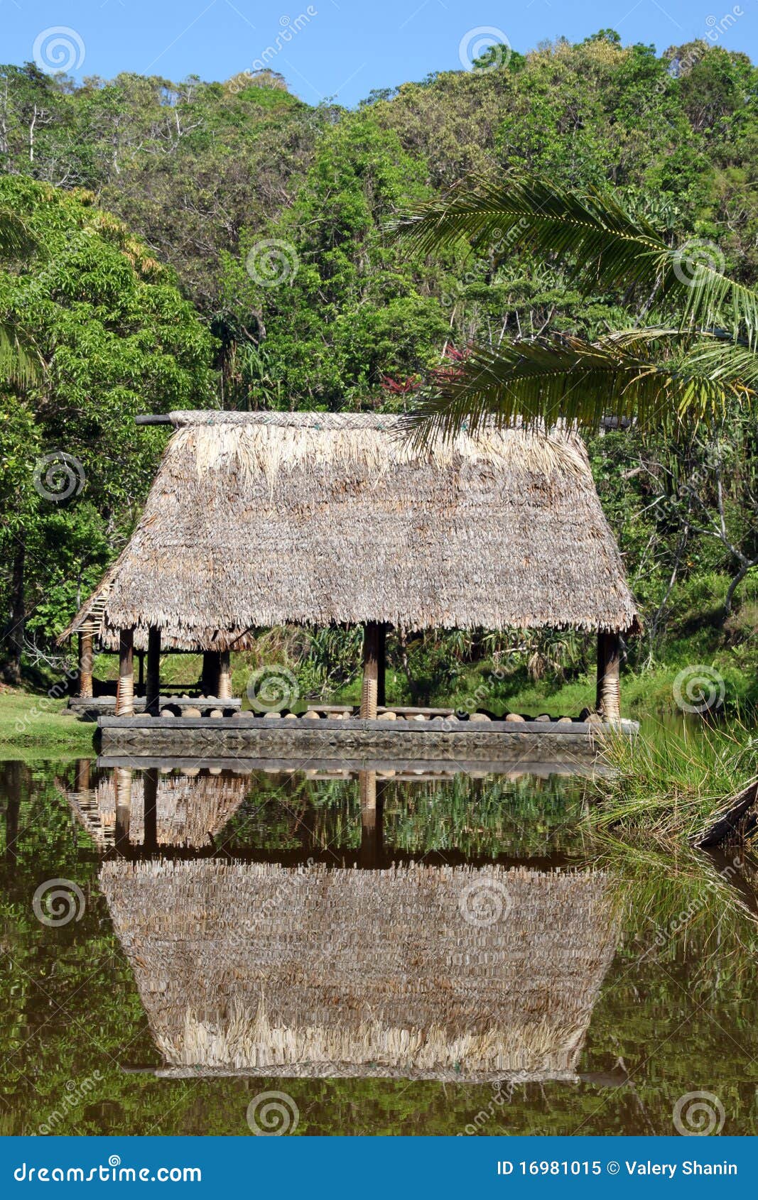 Koja fotografering för bildbyråer. Bild av skydd, oceanen - 16981015