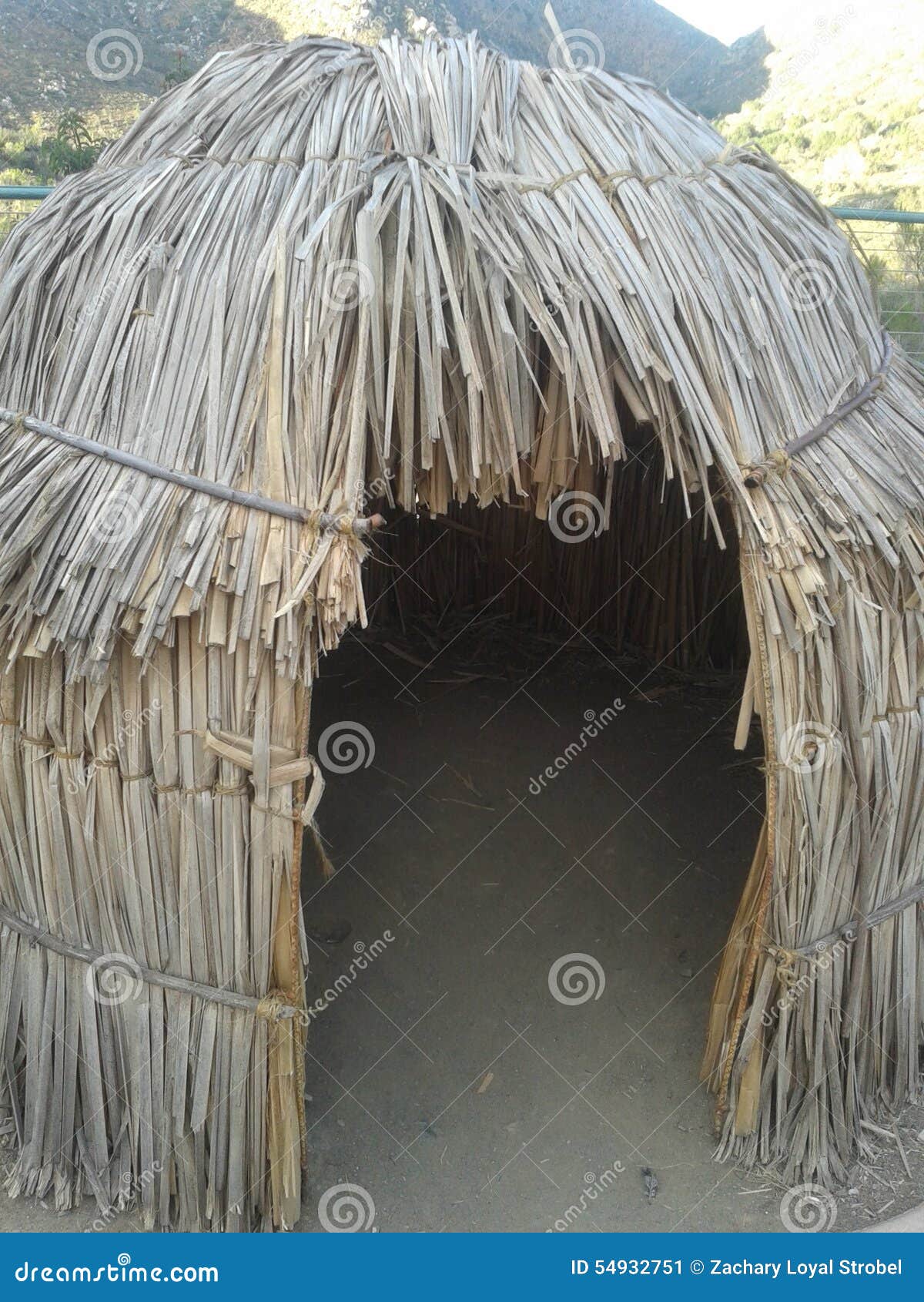 Koja fotografering för bildbyråer. Bild av bara, foto - 54932751